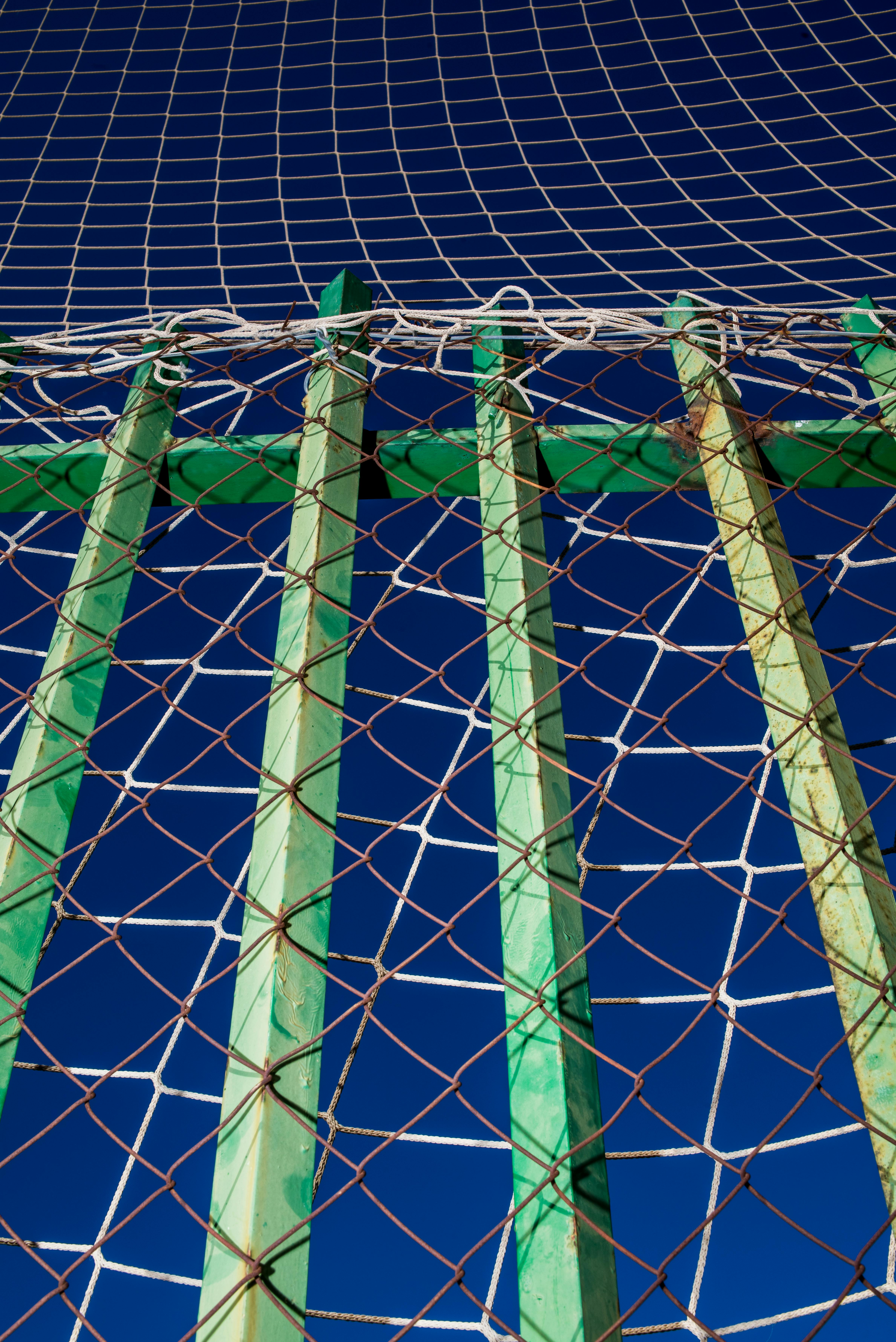 Blue and White Mesh Net · Free Stock Photo