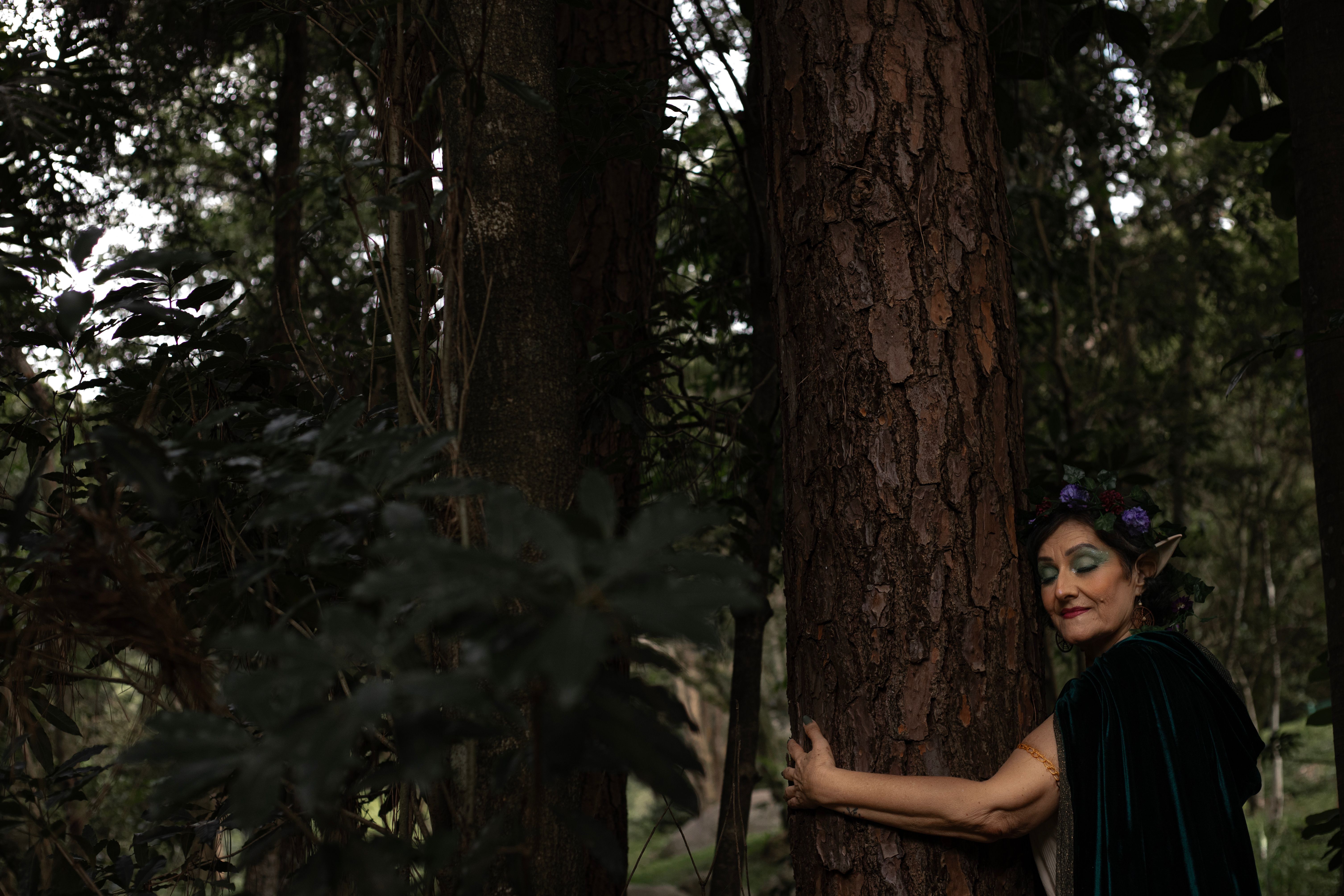 Enchanting Forest Scene with Woman Hugging Tree · Free Stock Photo