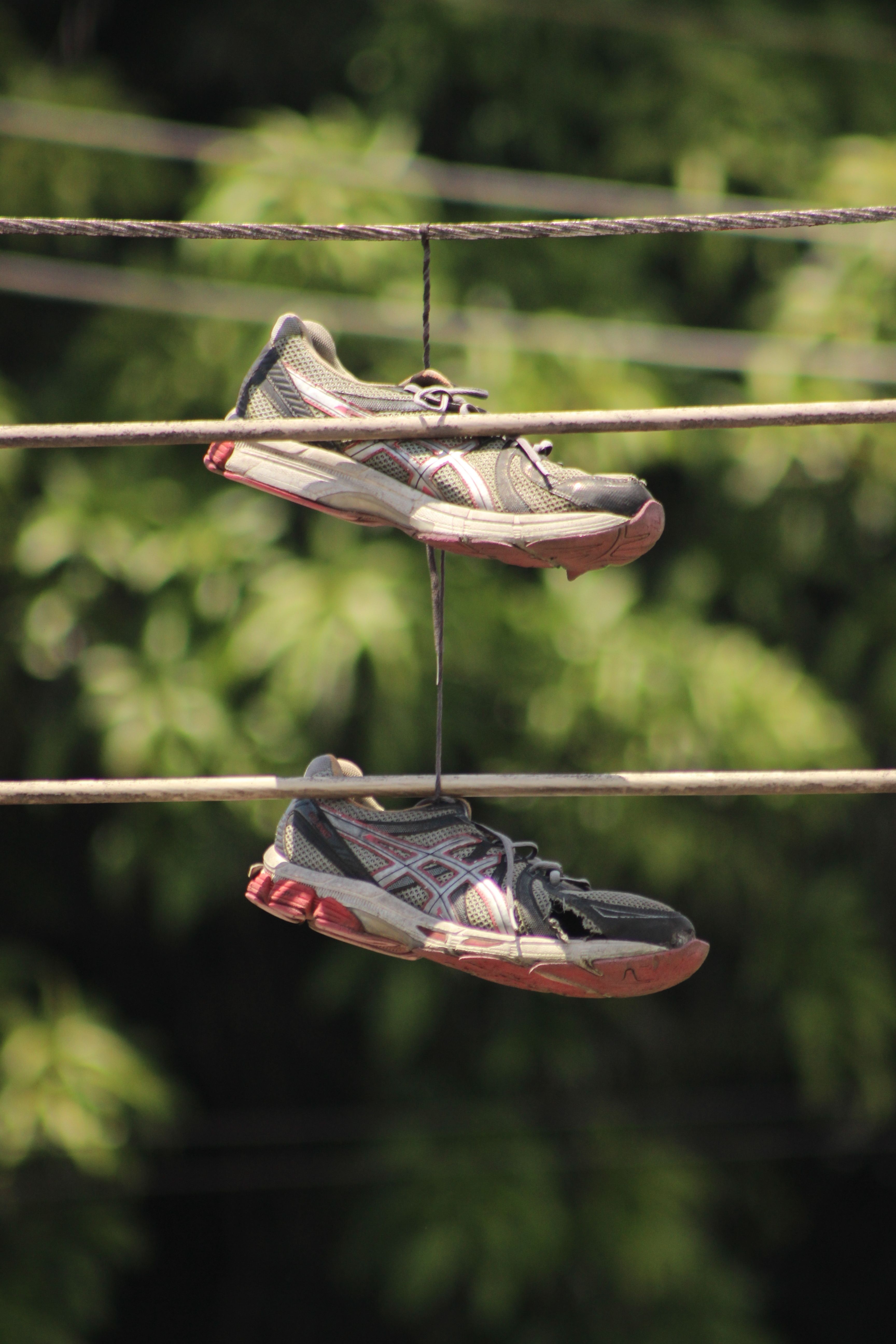Pair of Shoes Hanging on Tree Branch · Free Stock Photo
