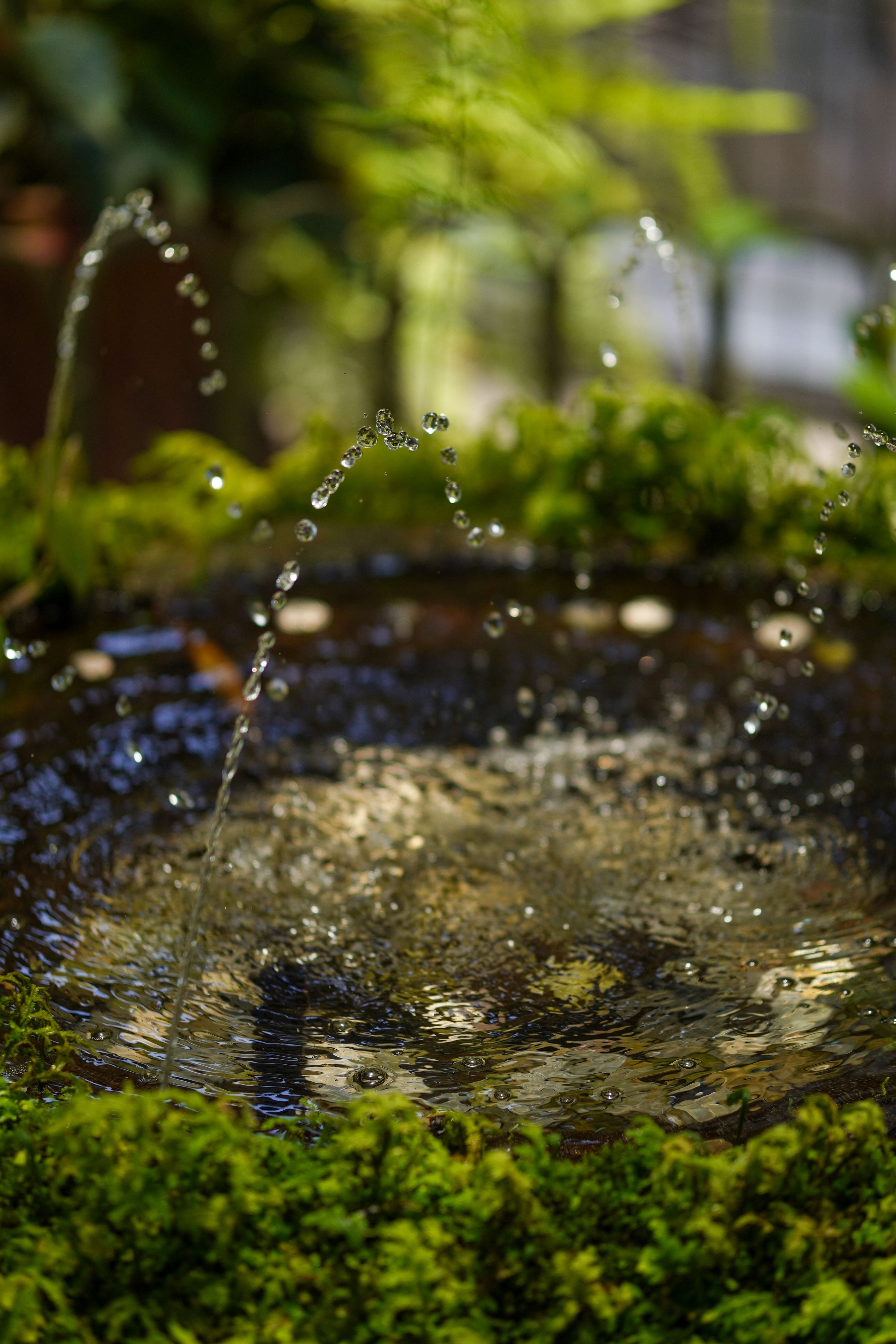 Tranquil Moss-Covered Water Fountain Outdoors · Free Stock Photo