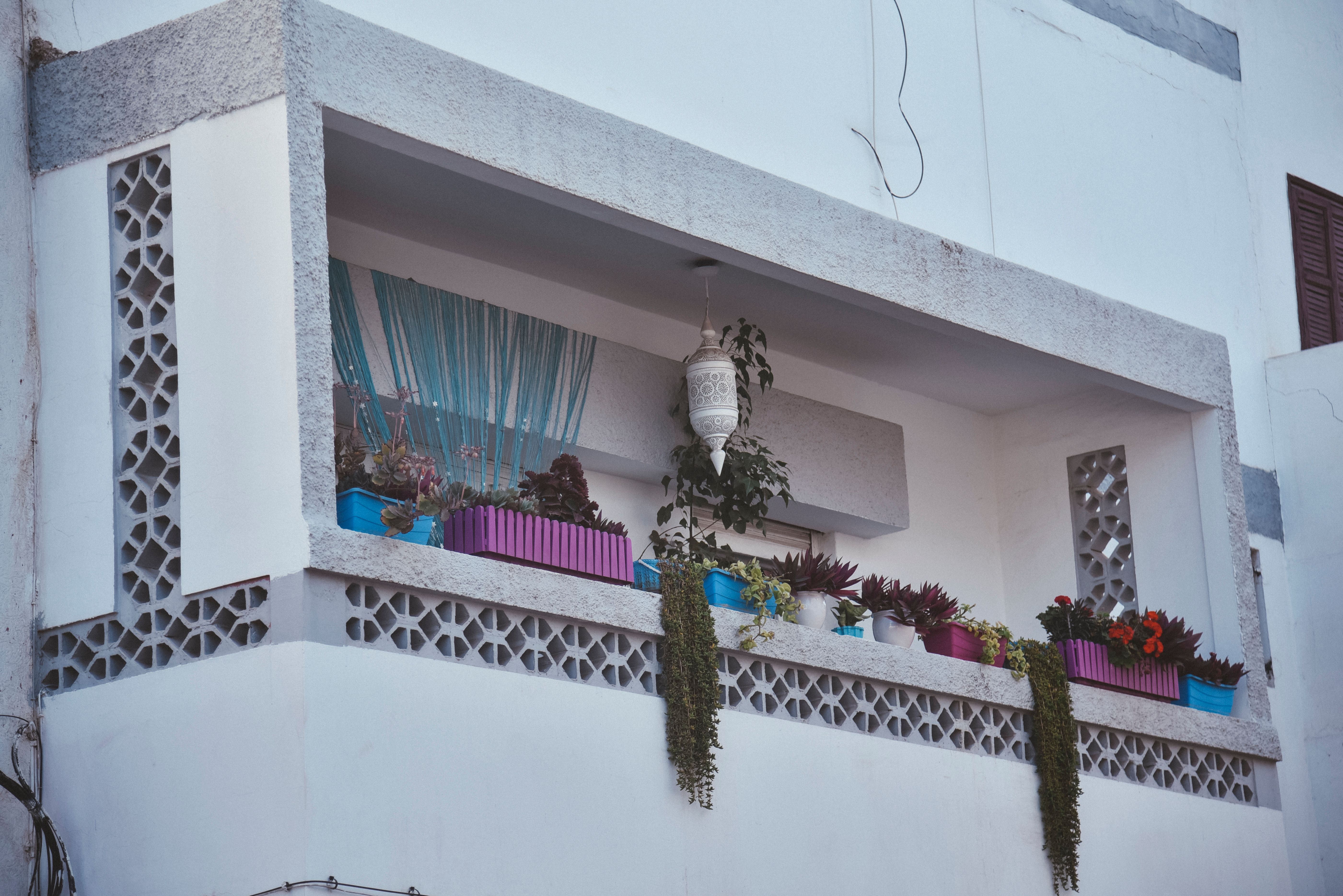 Charming Moroccan Balcony with Colorful Plants · Free Stock Photo