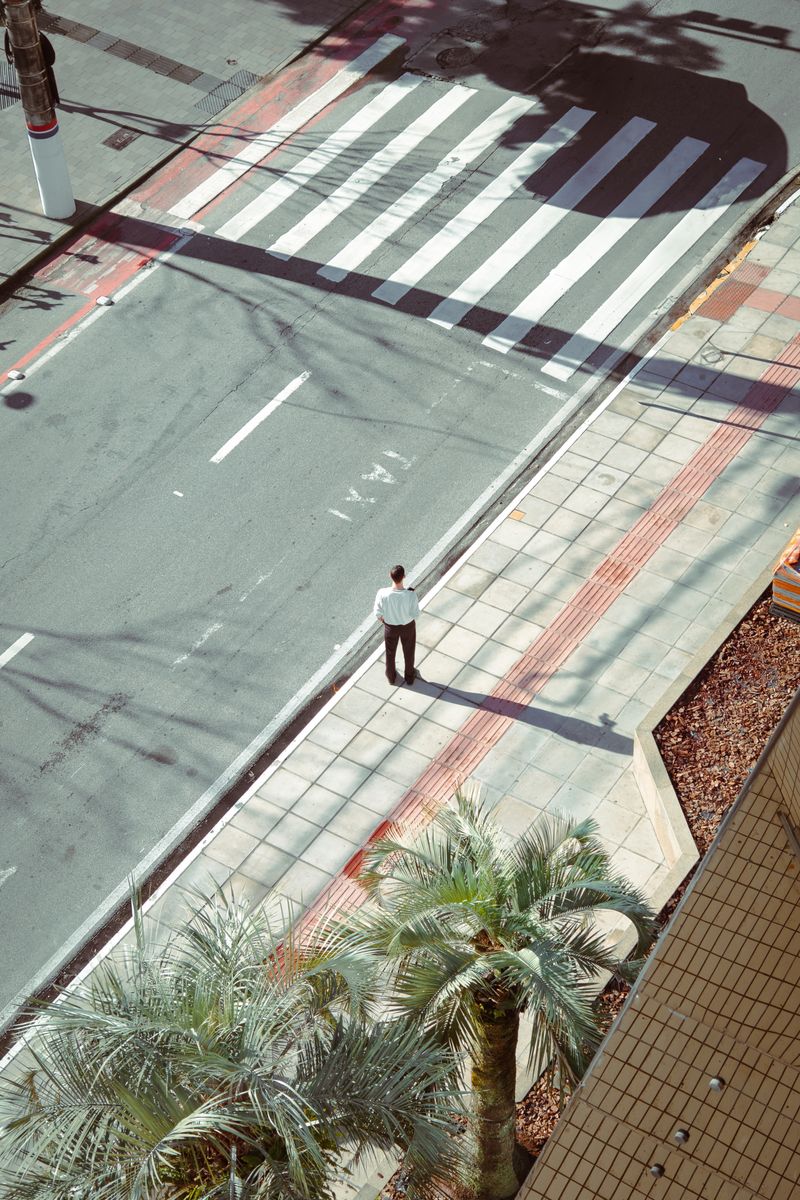 Crosswalk Marking Photos, Download The BEST Free Crosswalk Marking ...