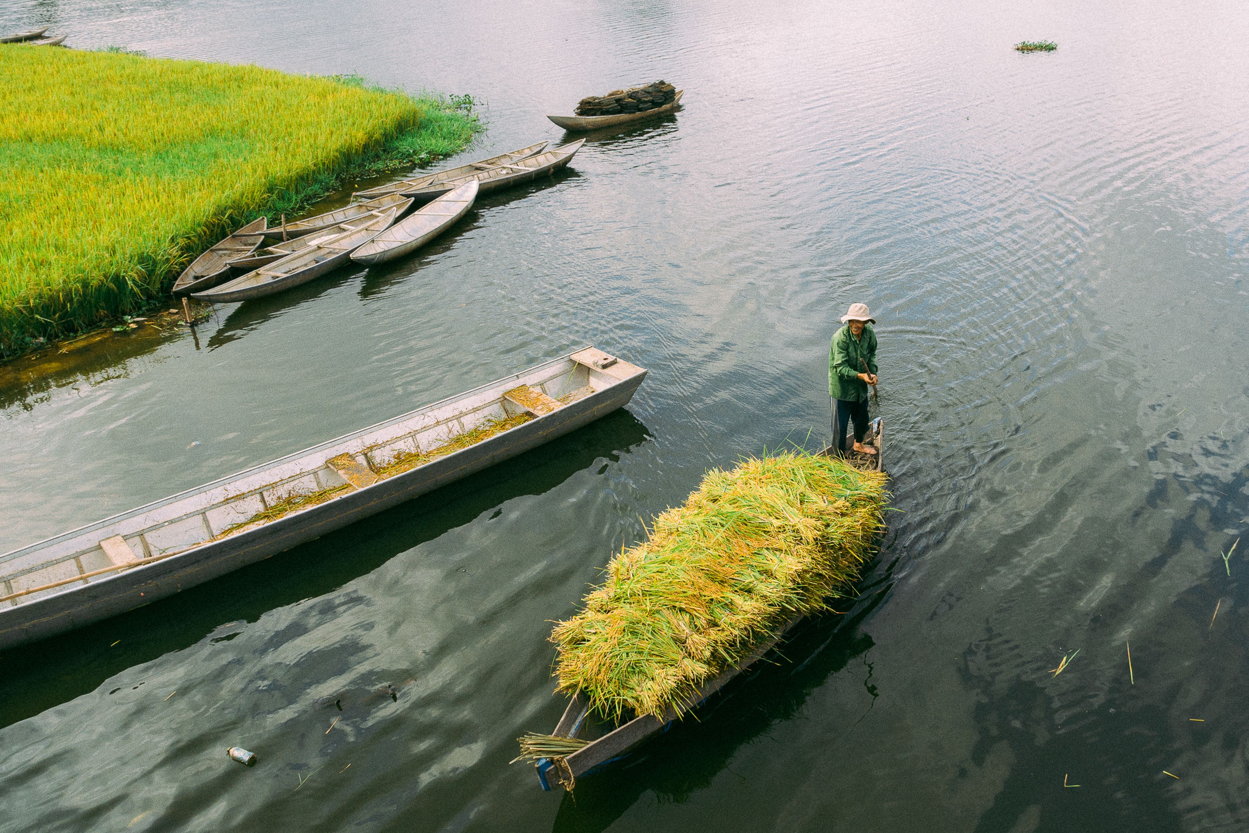 Vietnam Rice Boat Photos, Download The BEST Free Vietnam Rice Boat ...
