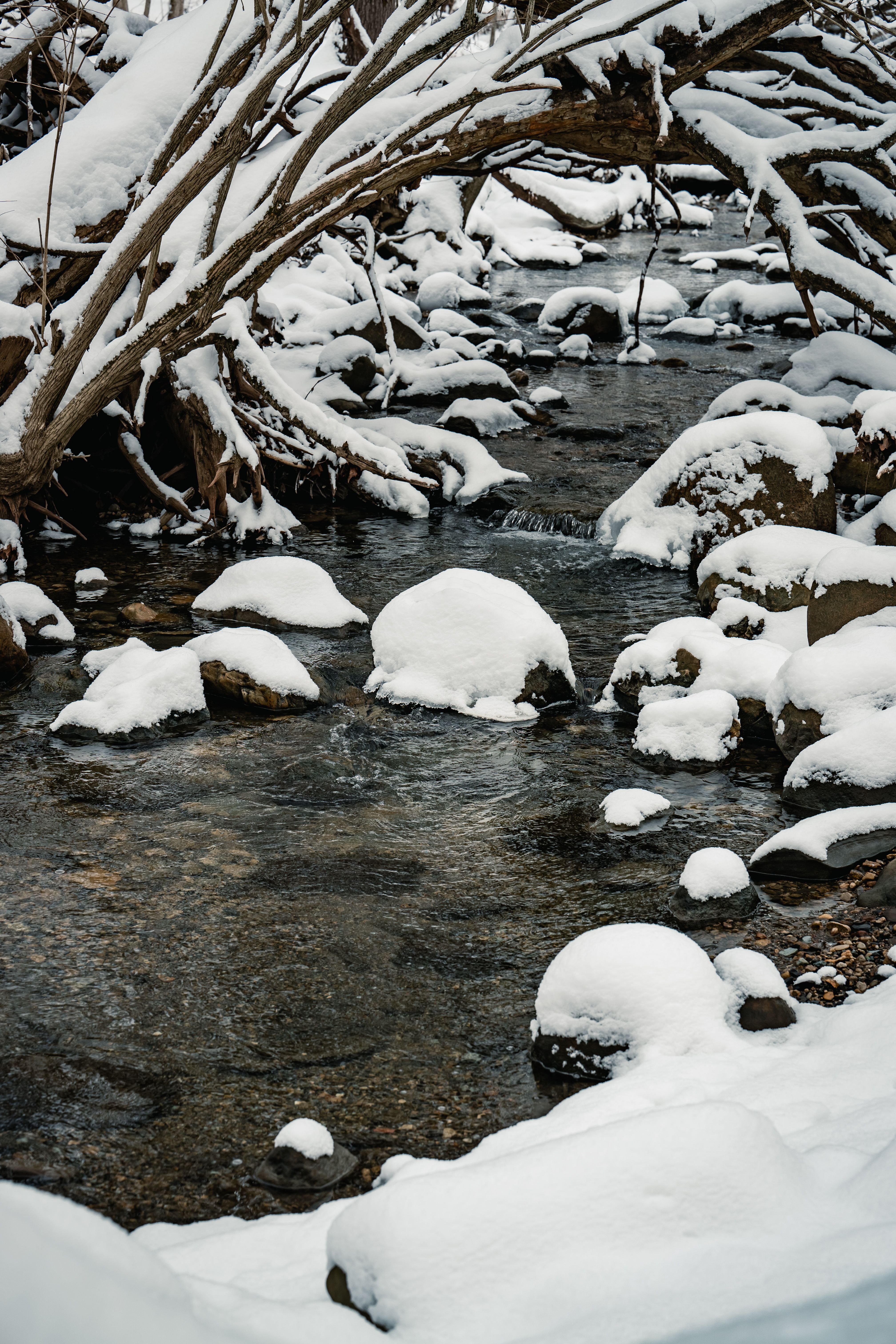 Serene Winter Stream with Snow-Covered Rocks · Free Stock Photo