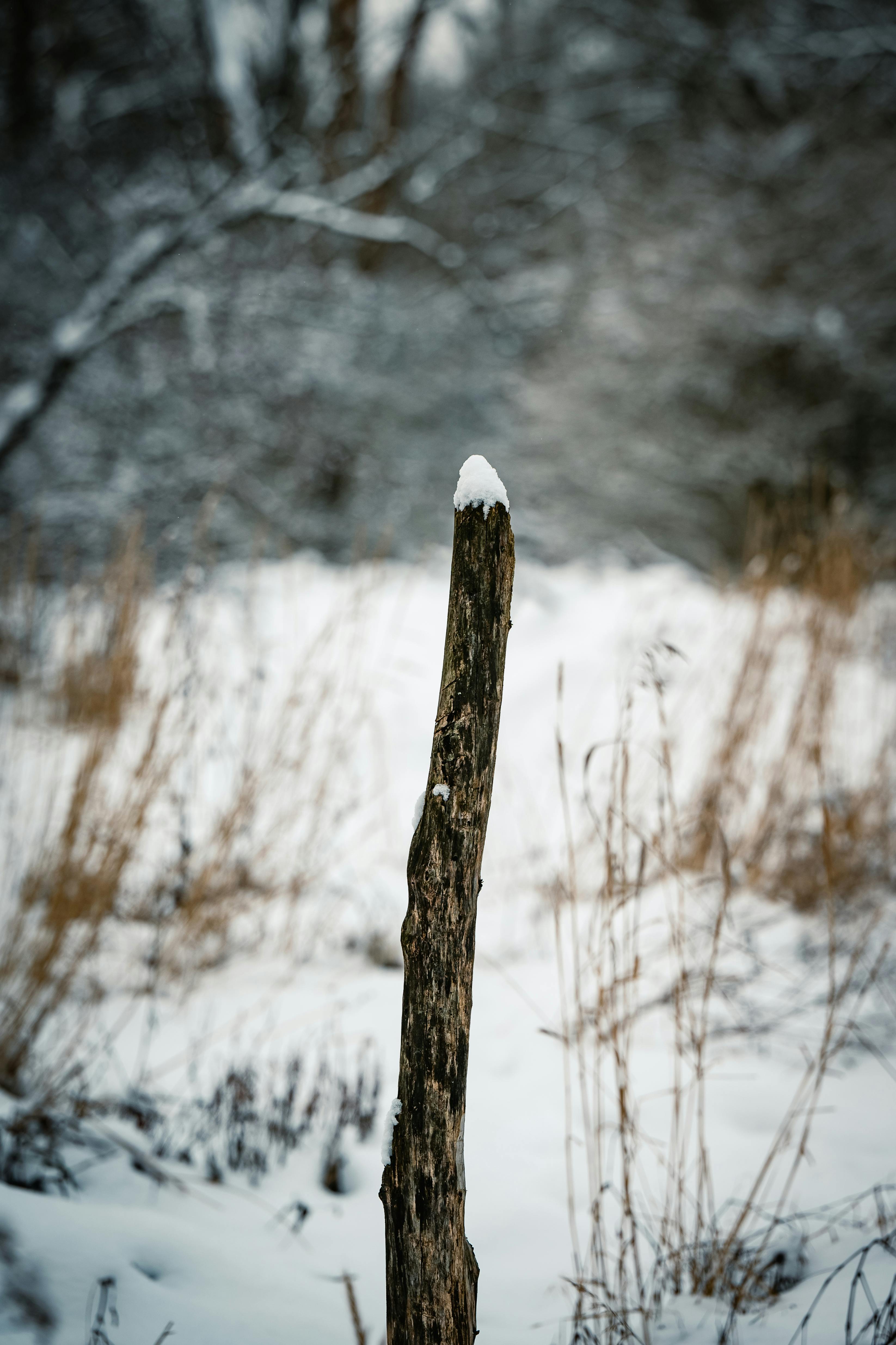 Slumber With A Key Photos, Download The BEST Free Slumber With A Key ...