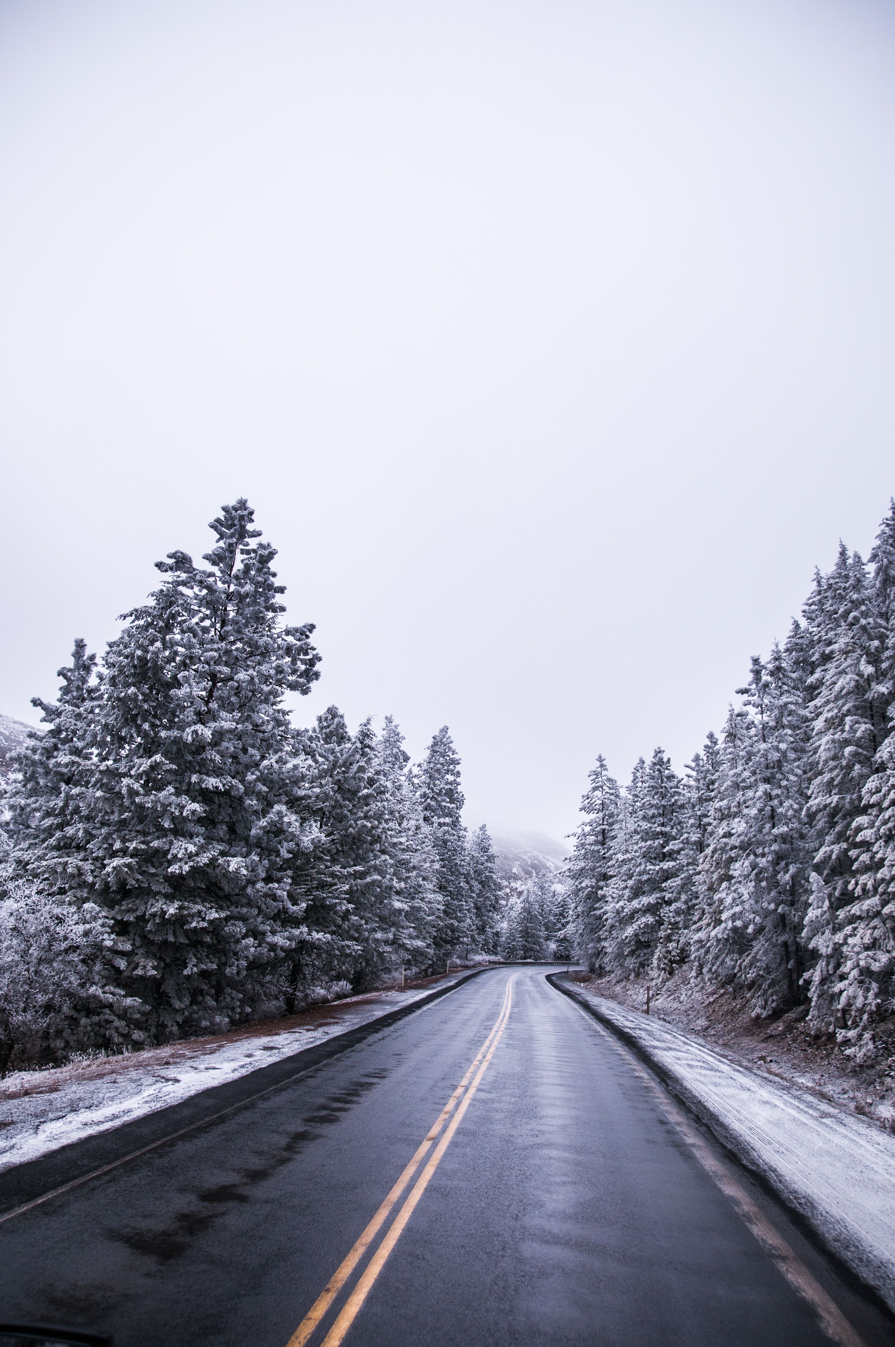 Snow-Covered Road Through Winter Forest Scene · Free Stock Photo