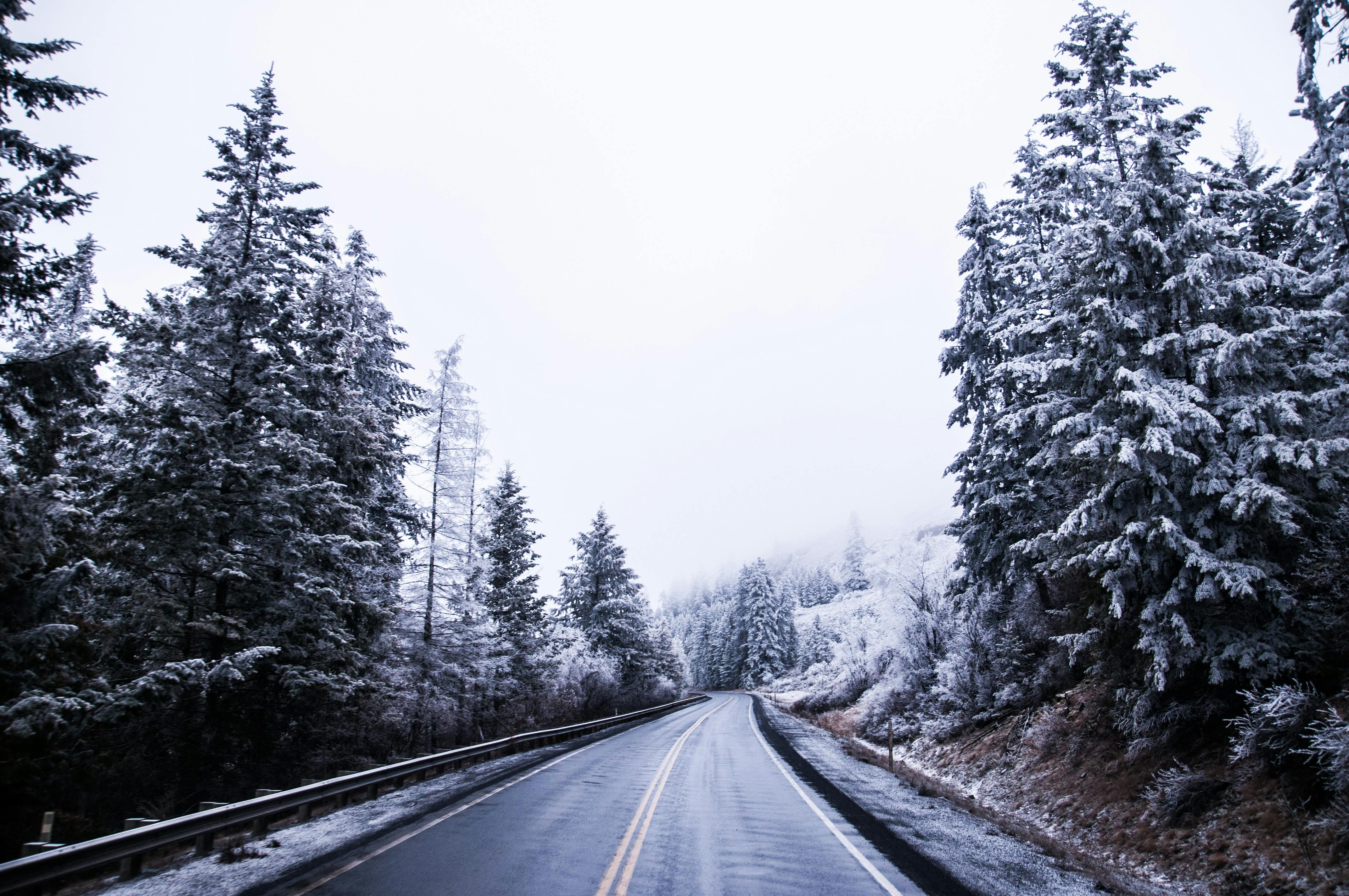 Scenic Winter Road Through Snowy Forest · Free Stock Photo