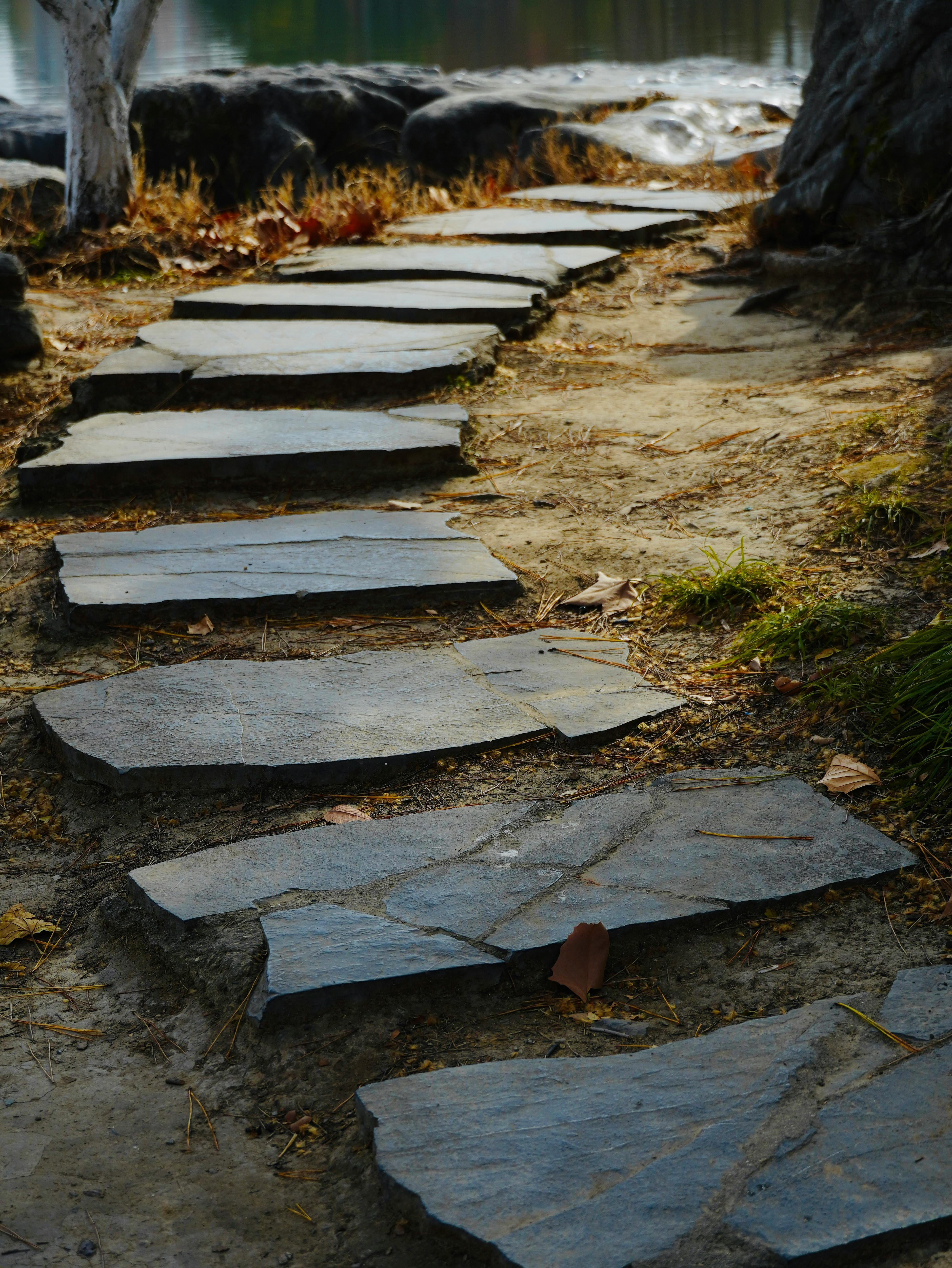 Rustic Stone Pathway in Tranquil Garden · Free Stock Photo