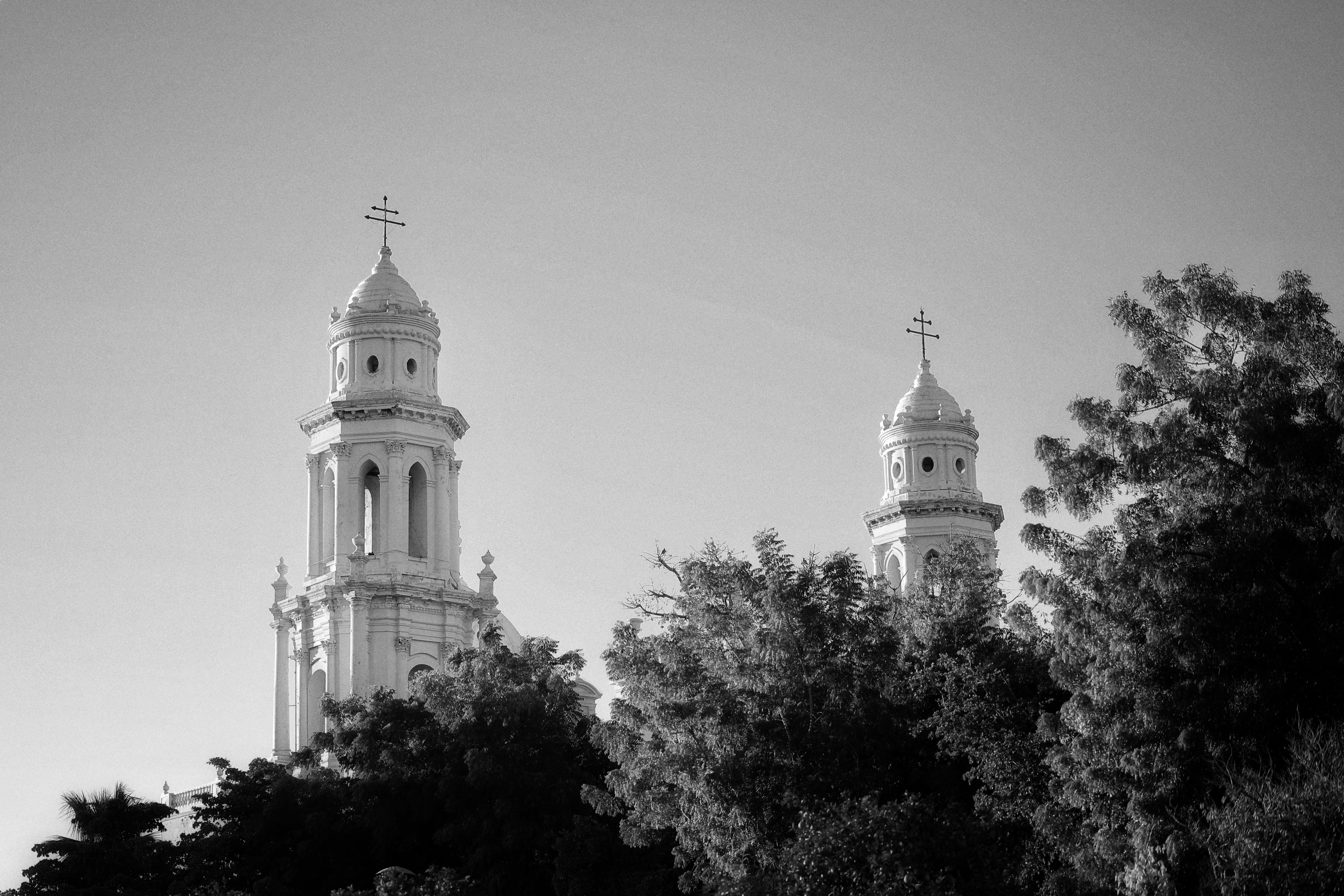 Elegant Twin Church Towers Rising Above Trees · Free Stock Photo