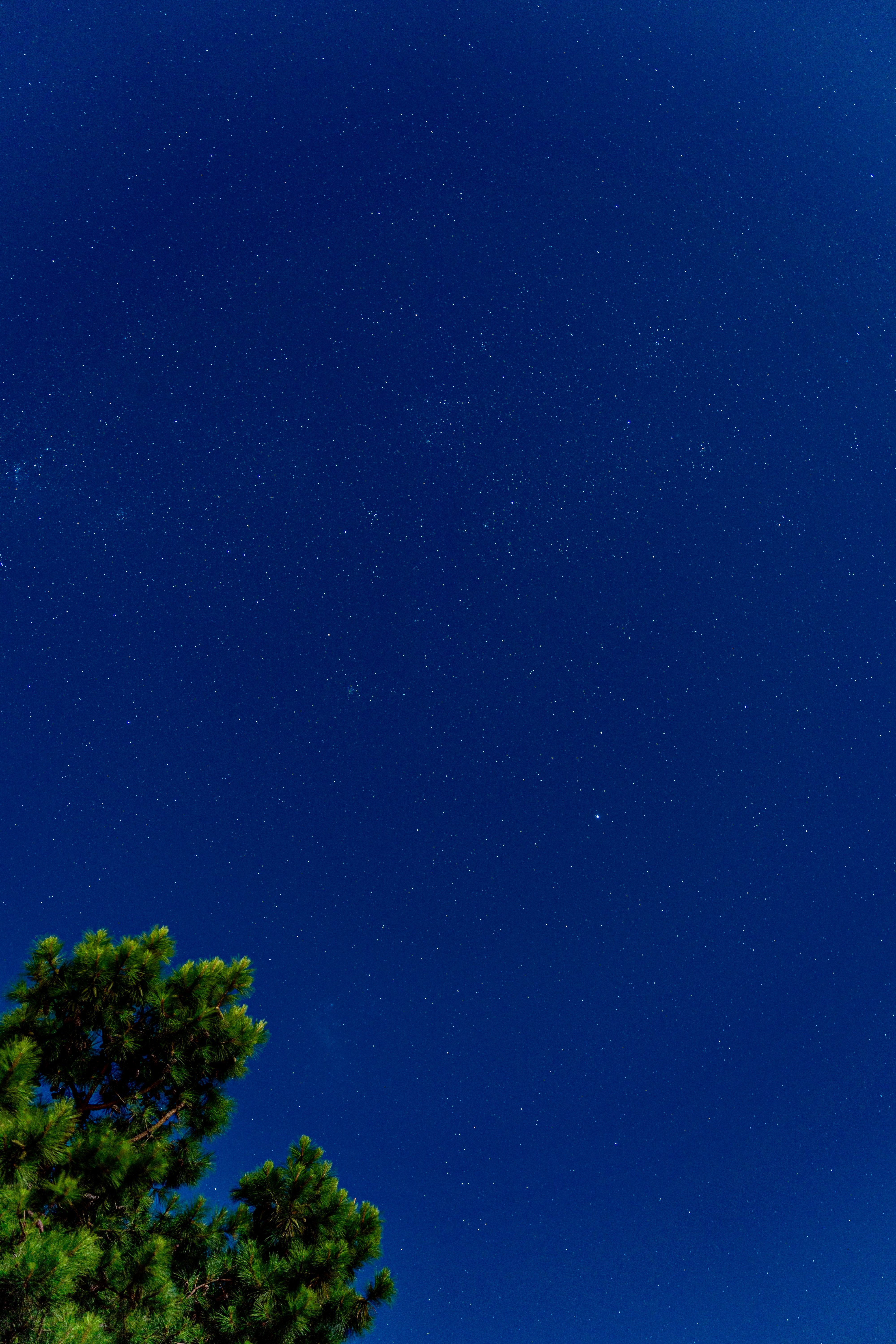 5 Star Photo Photos, Download The BEST Free 5 Star Photo Stock Photos ...