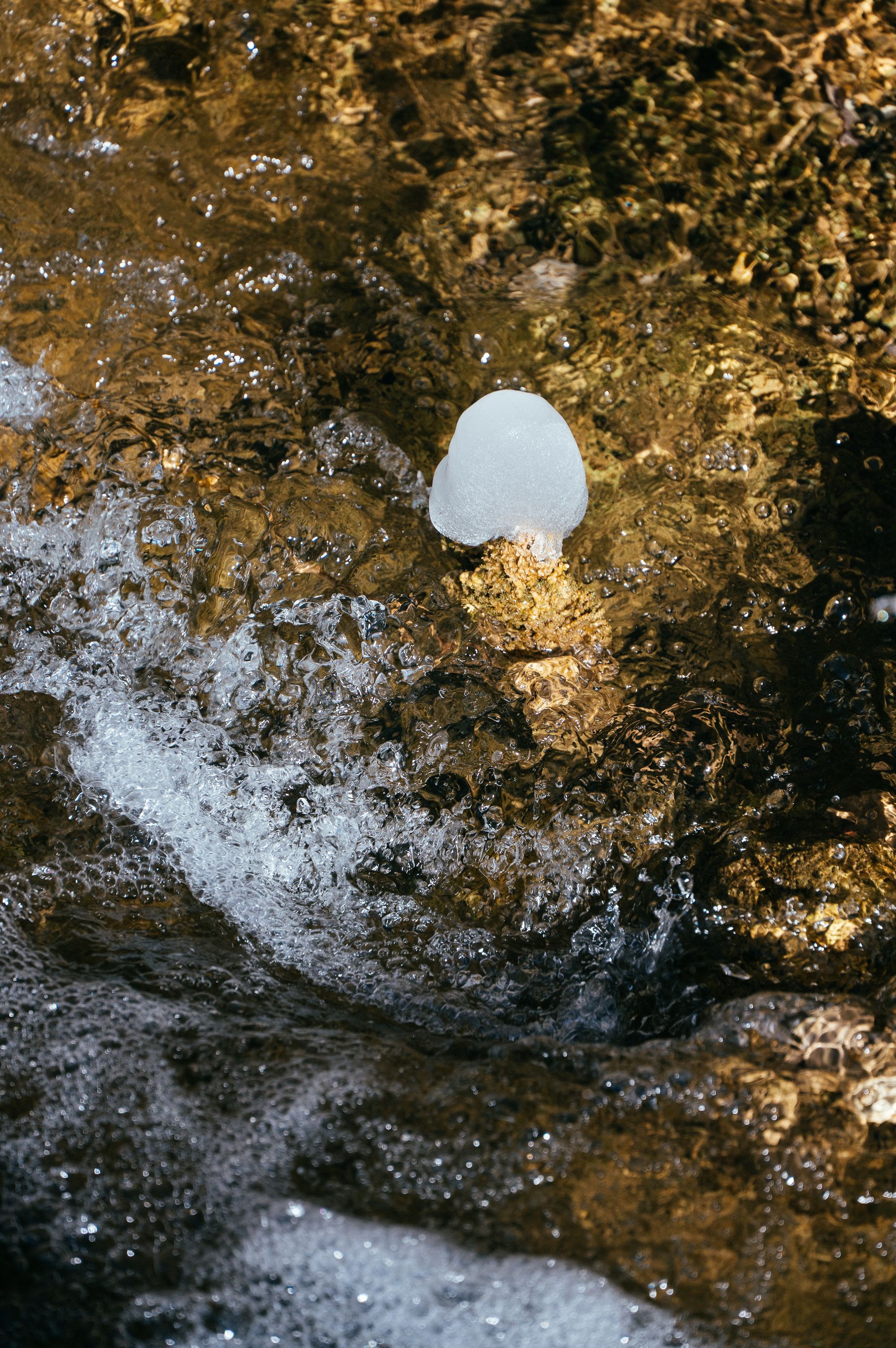 Natural Ice Formation in Flowing Stream · Free Stock Photo