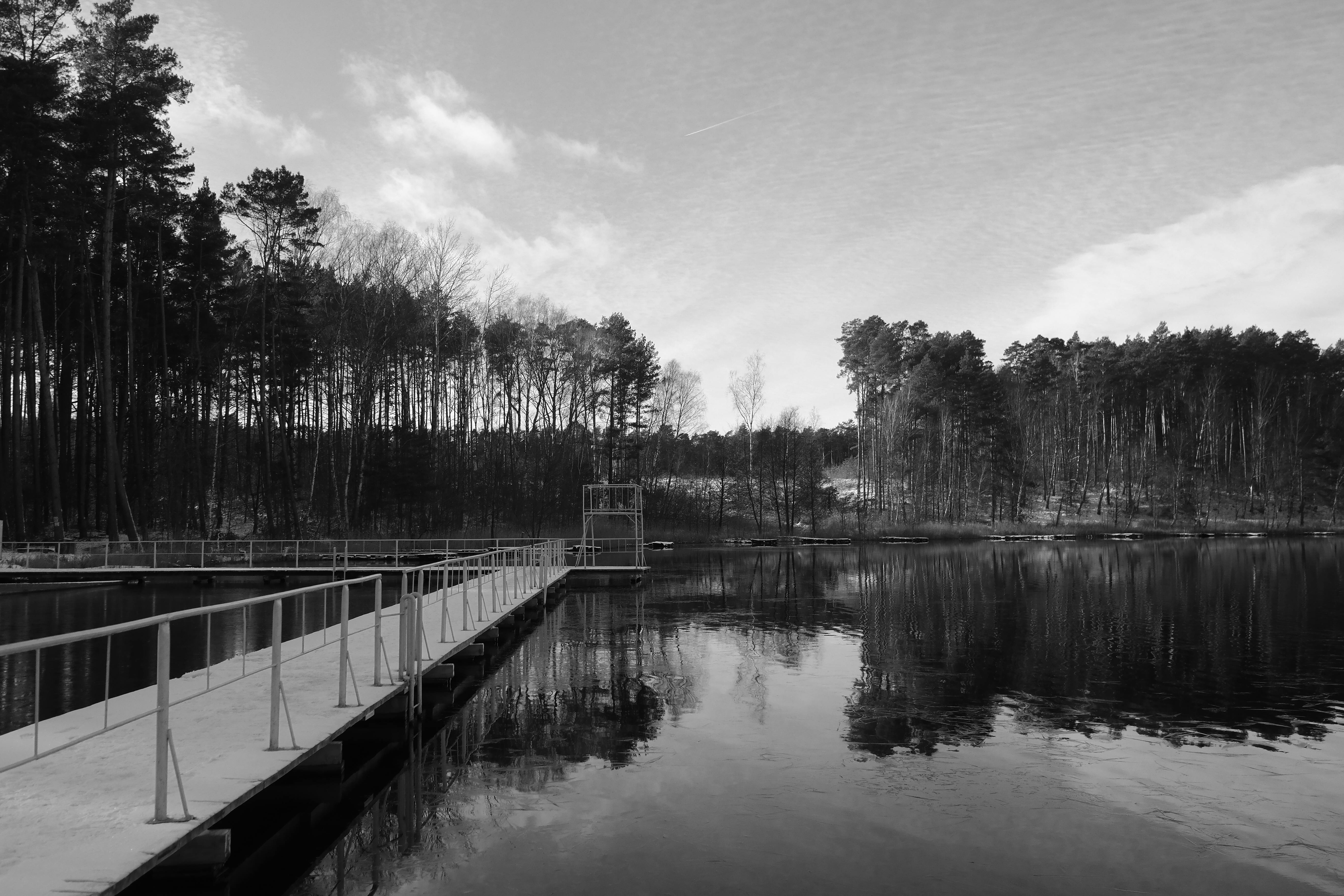 Serene Black and White Dockside Landscape · Free Stock Photo
