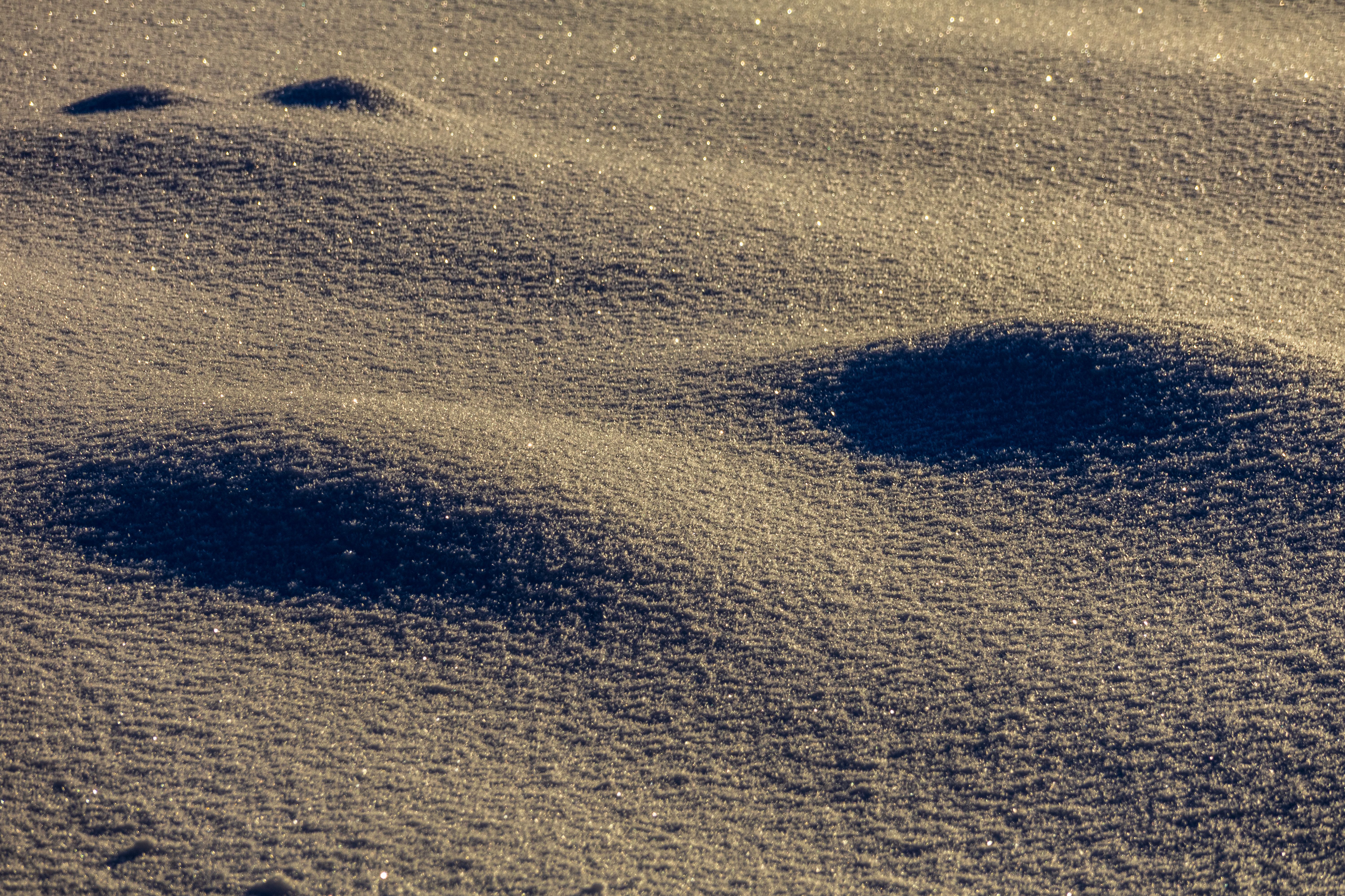 Serene Winter Snow Dunes at Sunset · Free Stock Photo