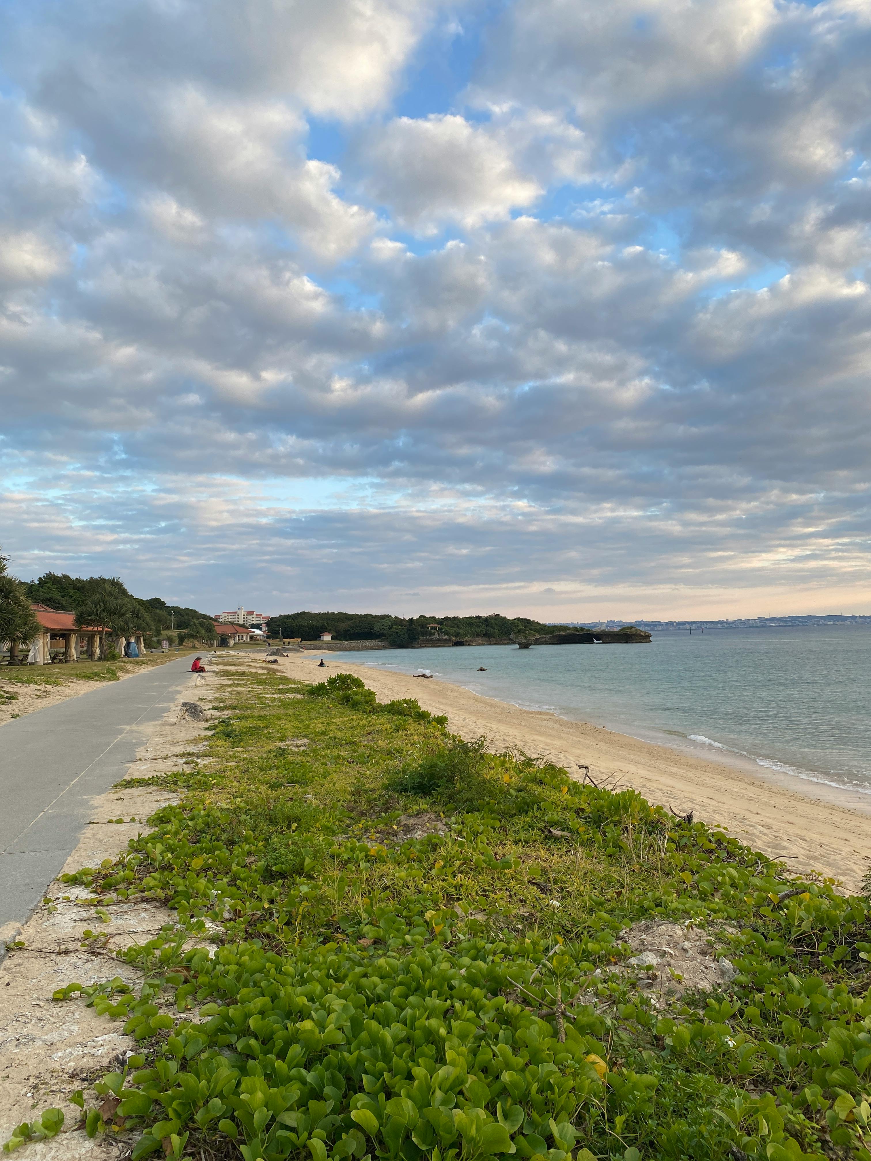 Serene Coastal Beachfront with Greenery and Sky · Free Stock Photo