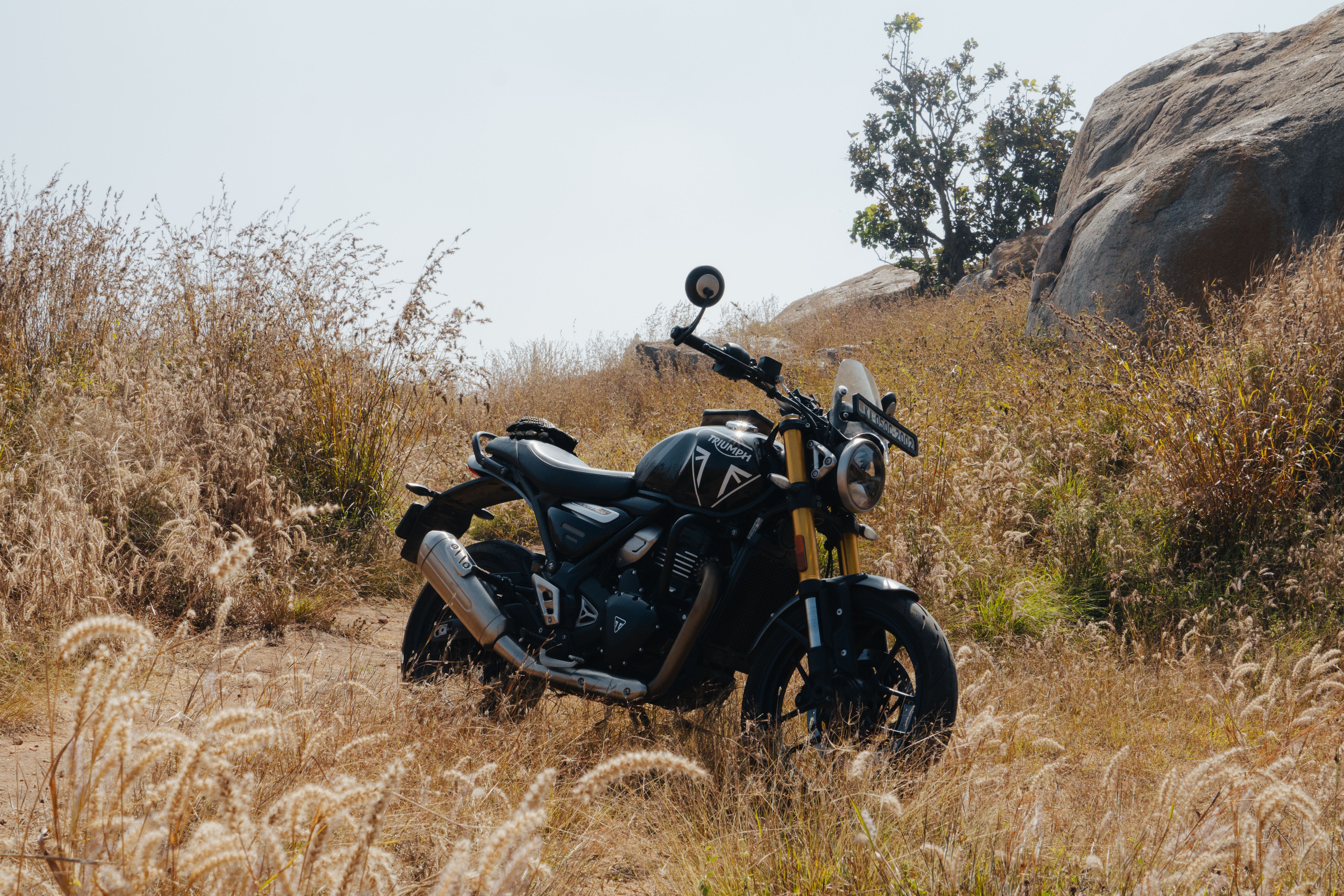 Stylish Motorcycle in Scenic Wilderness Setting · Free Stock Photo