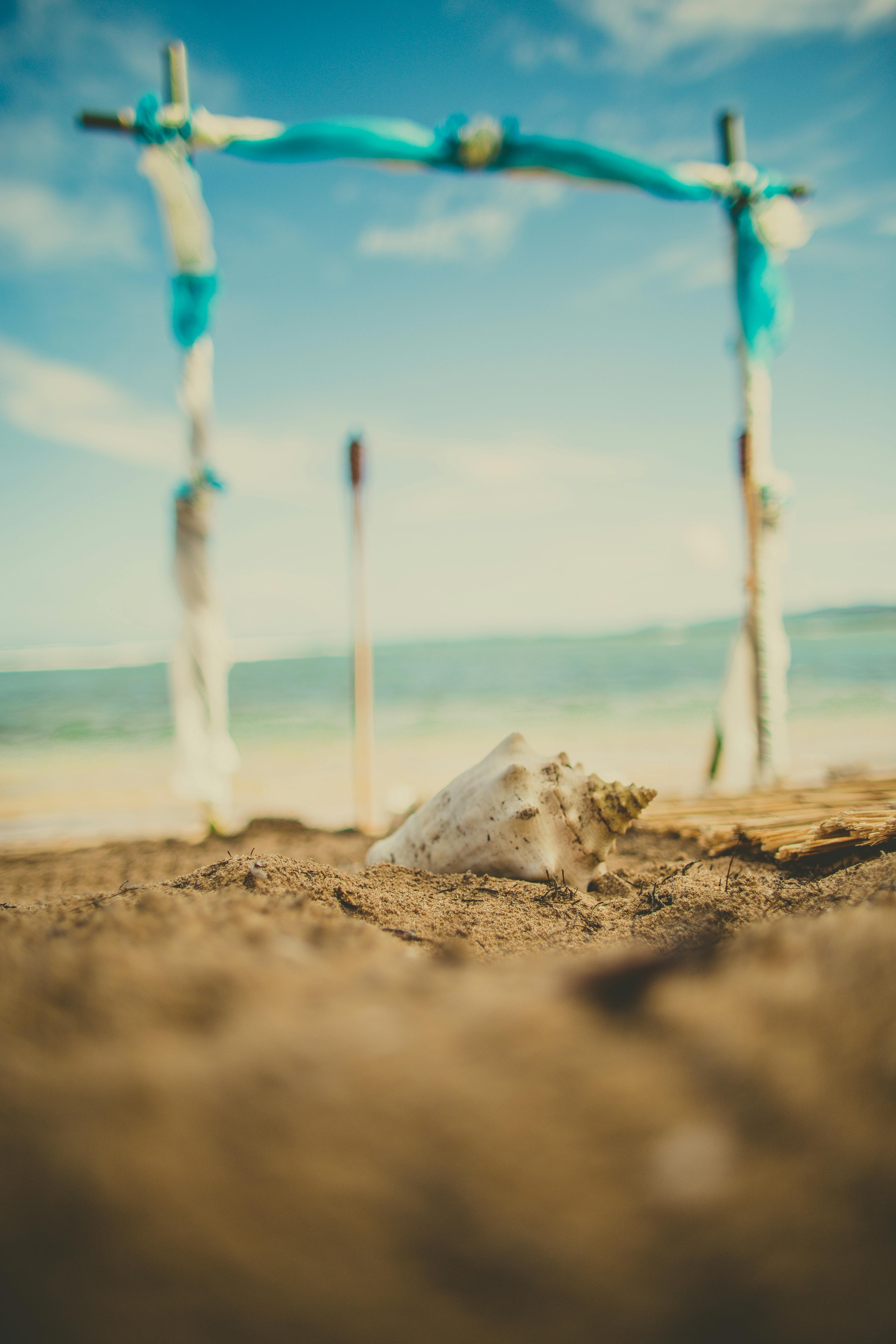 Sea Shells on Body of Water · Free Stock Photo