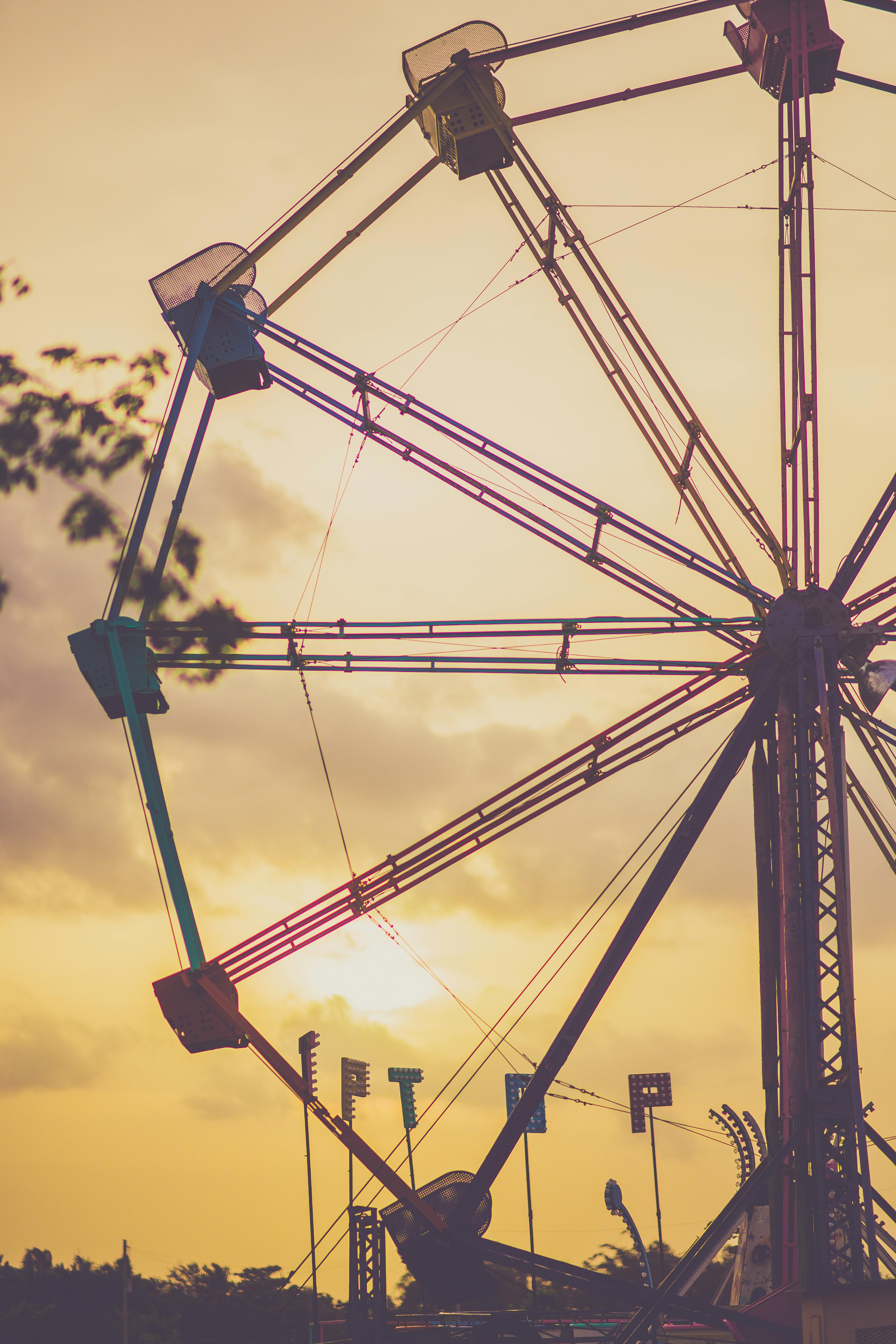 300+ Best Circular Photos · 100% Free Download · Pexels Stock Photos