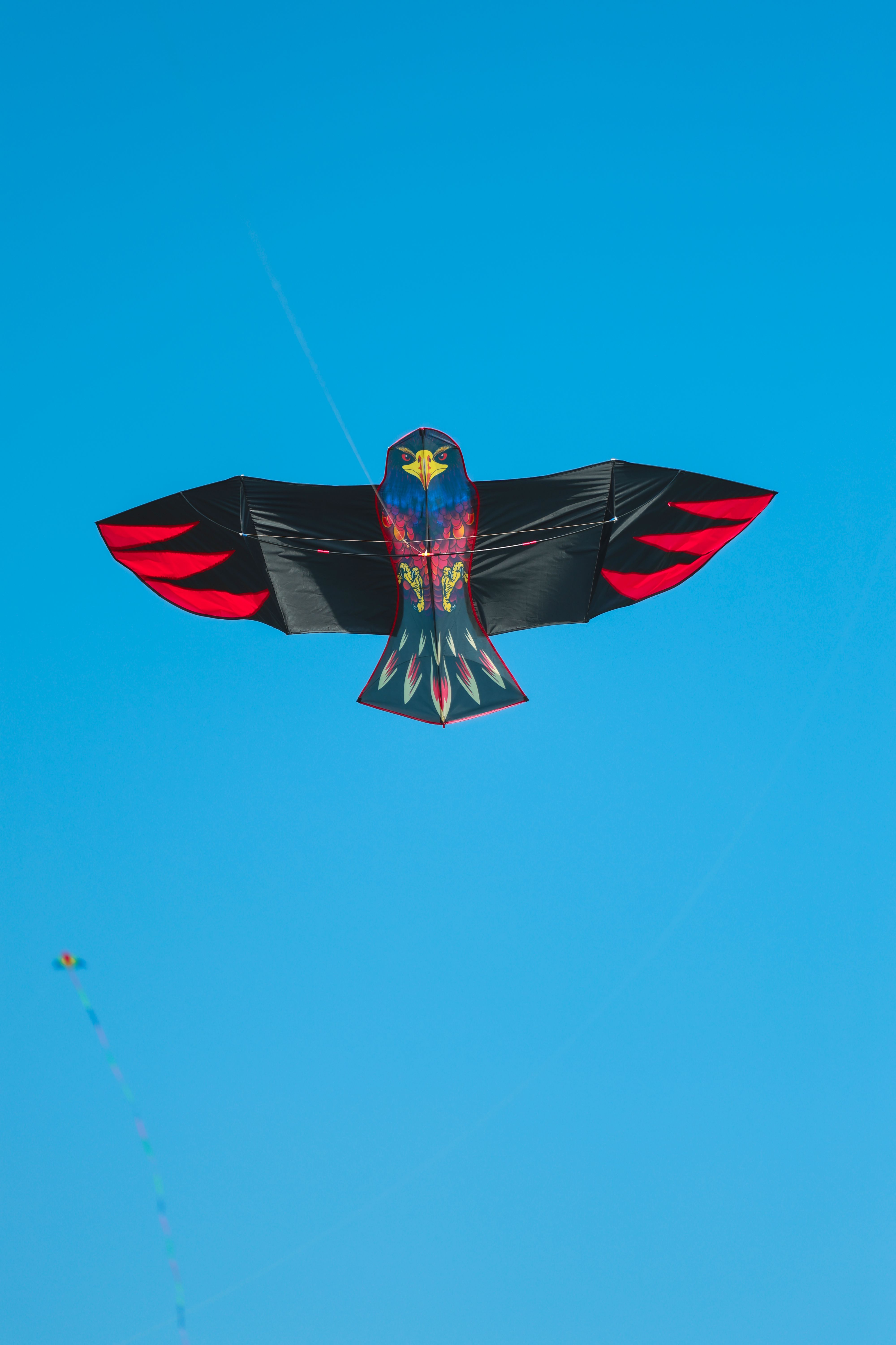 Free Image Of A Kite Photos, Download The BEST Free Free Image Of A ...