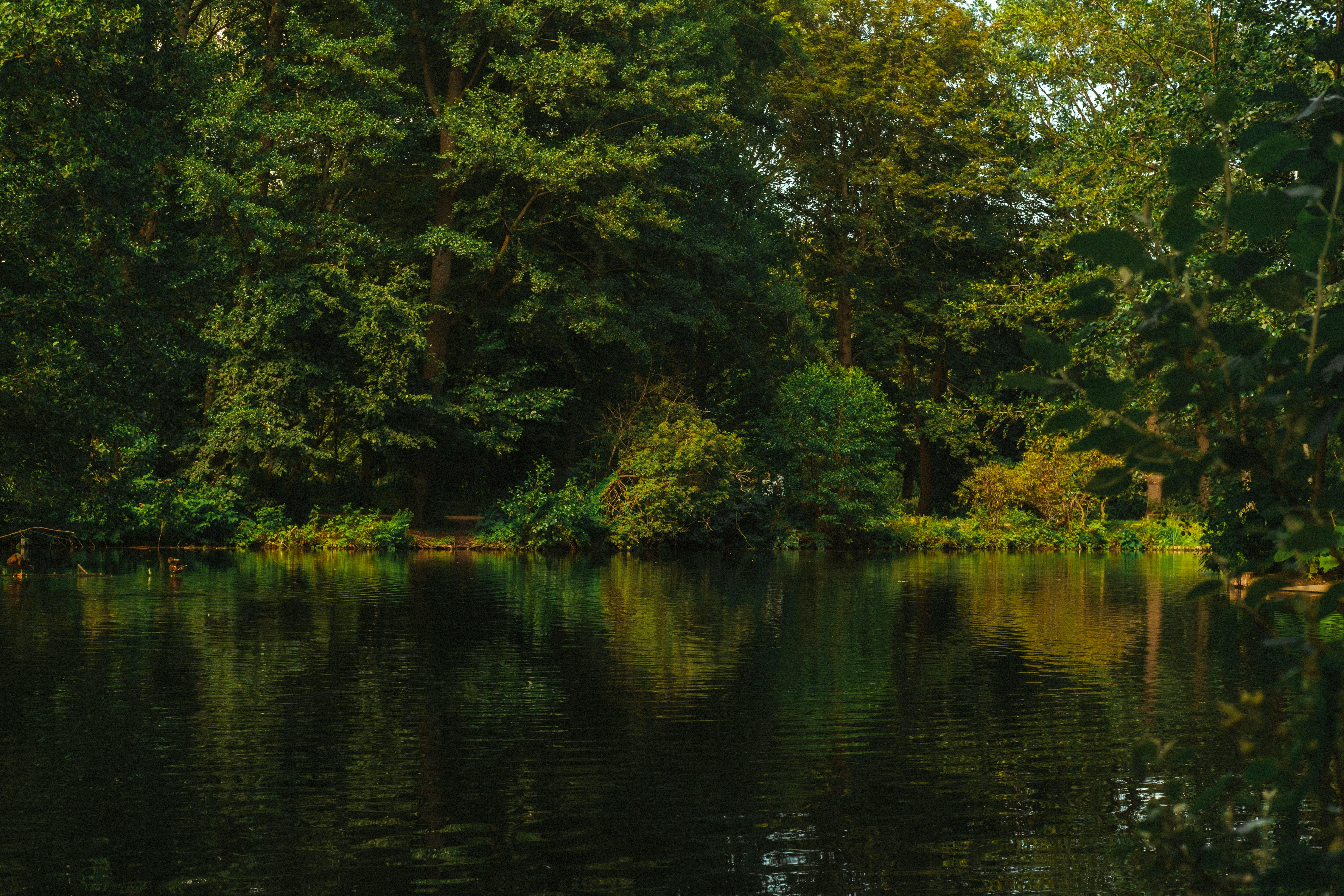 Silent Waterfront Photos, Download The BEST Free Silent Waterfront ...