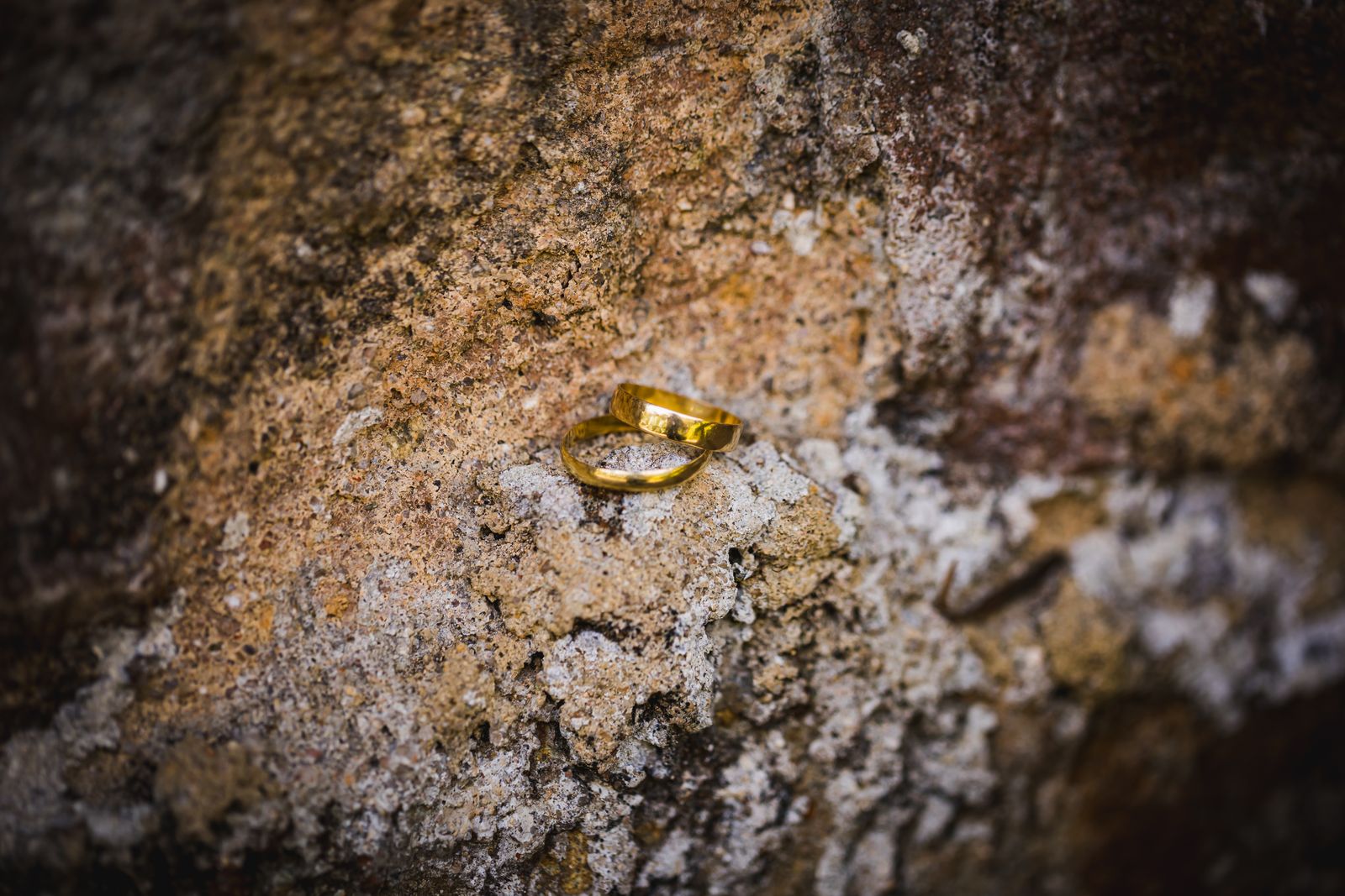 Gold Jewelry Photos, Download The BEST Free Gold Jewelry Stock Photos ...