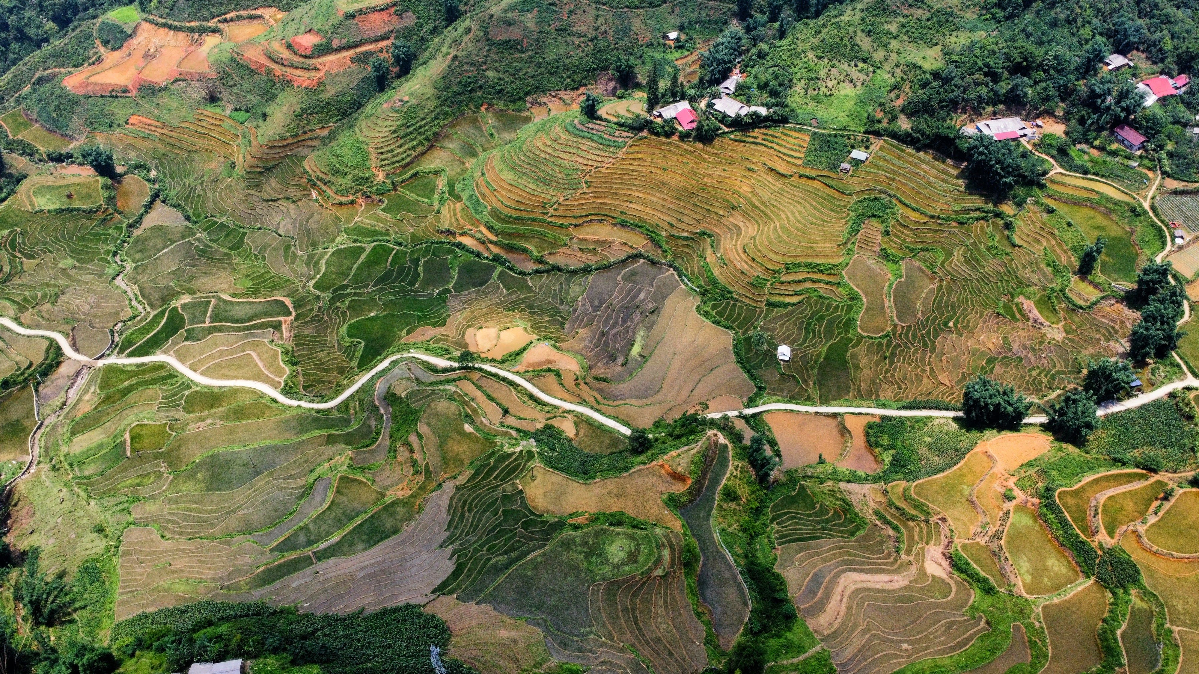 Asian Rice Terraces Photos, Download The BEST Free Asian Rice Terraces ...