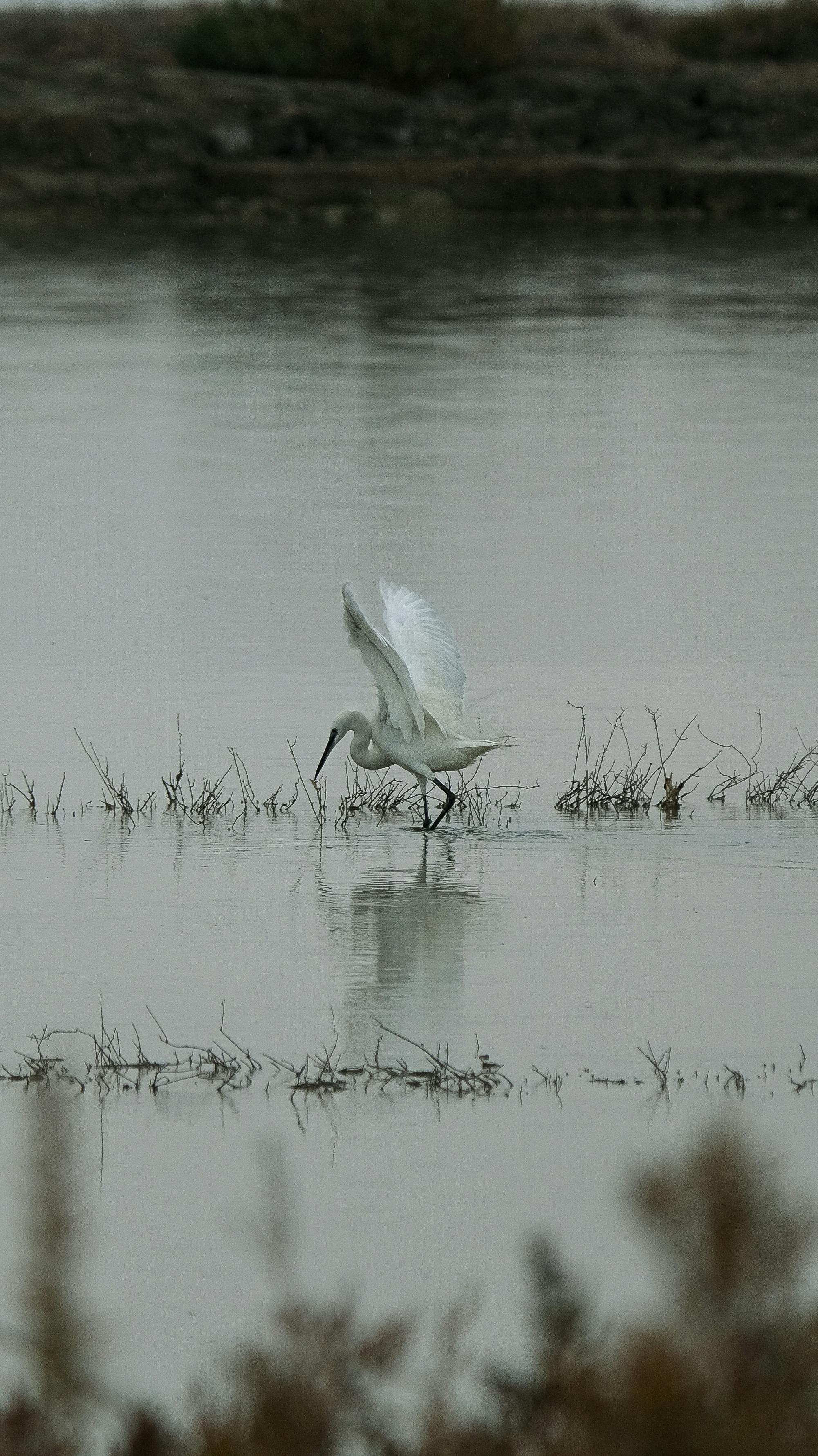 Adnoc Barra Bill Photos, Download The BEST Free Adnoc Barra Bill Stock ...