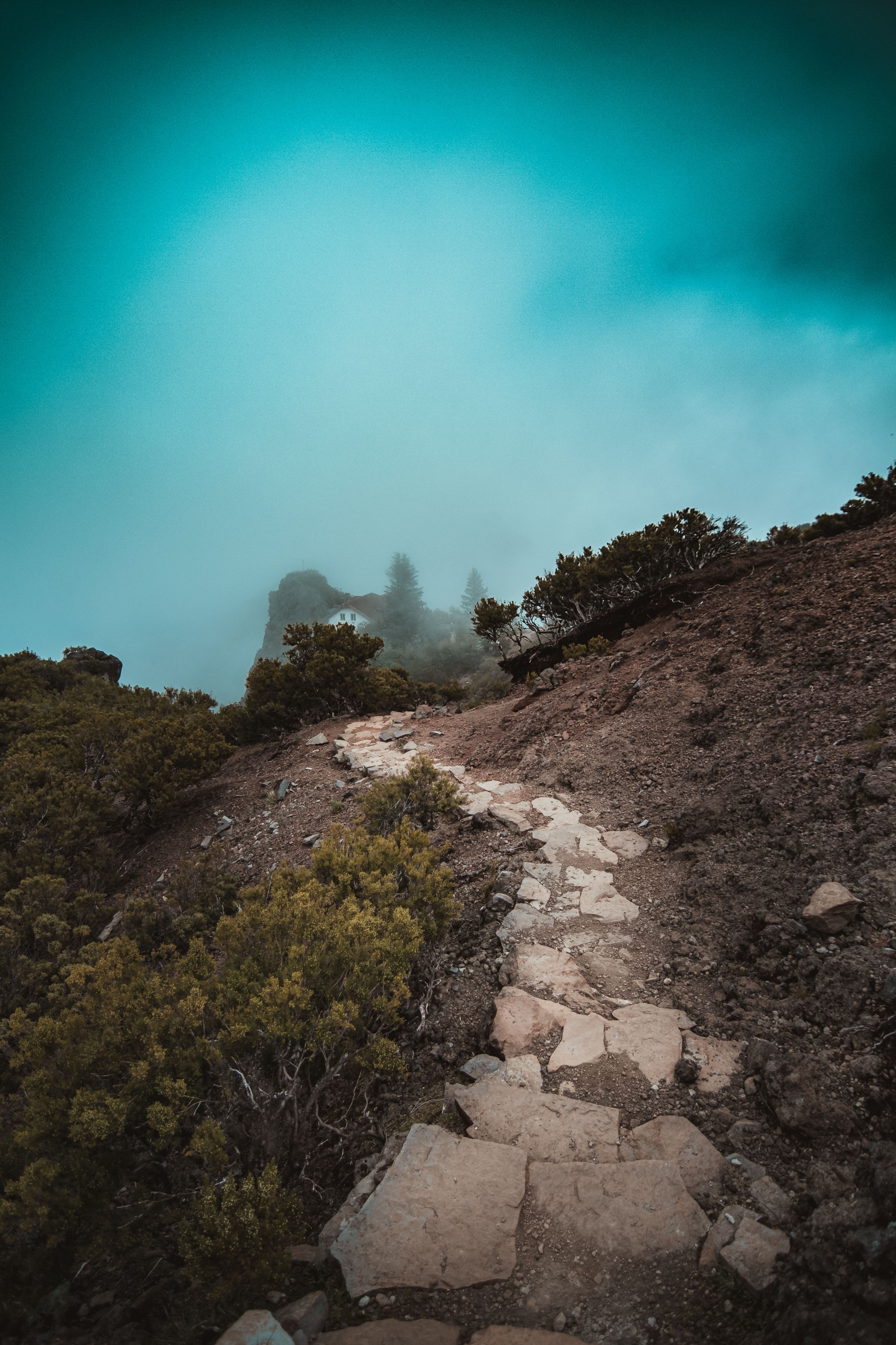 Sendero Panorámico De Montaña En La Brumosa Madeira · Foto de stock ...