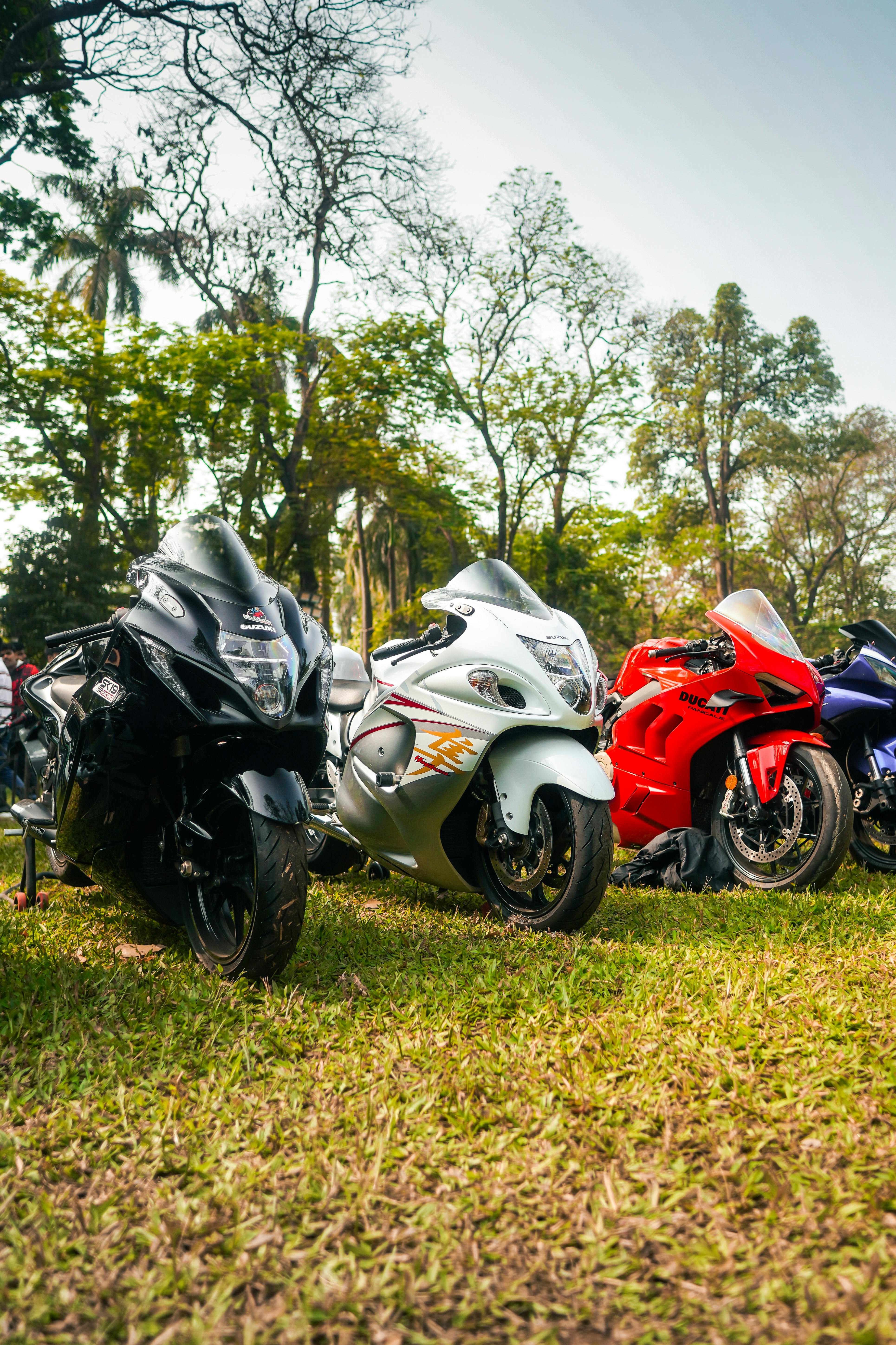 Cycle Fails Photos, Download The BEST Free Cycle Fails Stock Photos ...