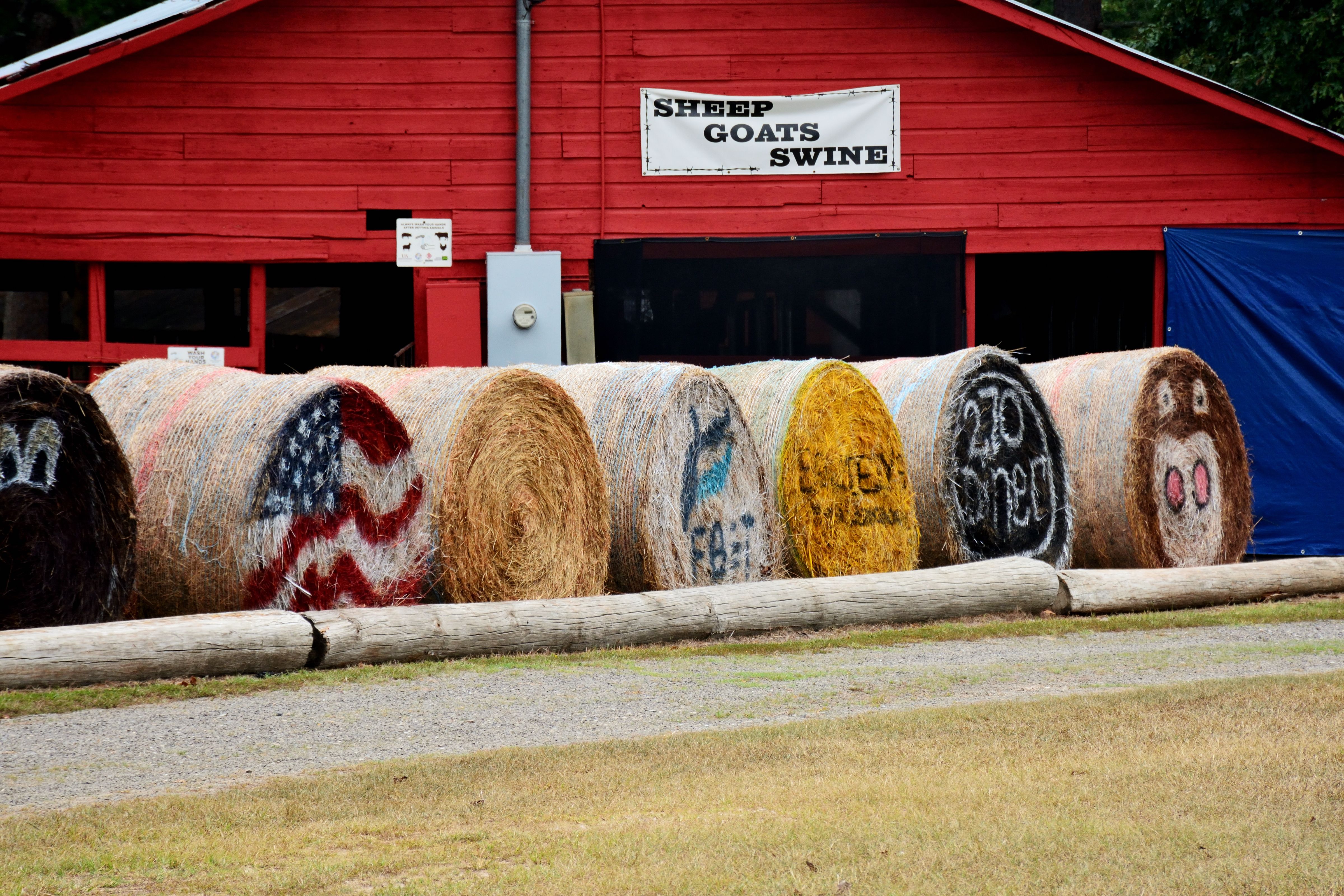 Colorful Painted Hay Bales near a Red Barn · Free Stock Photo