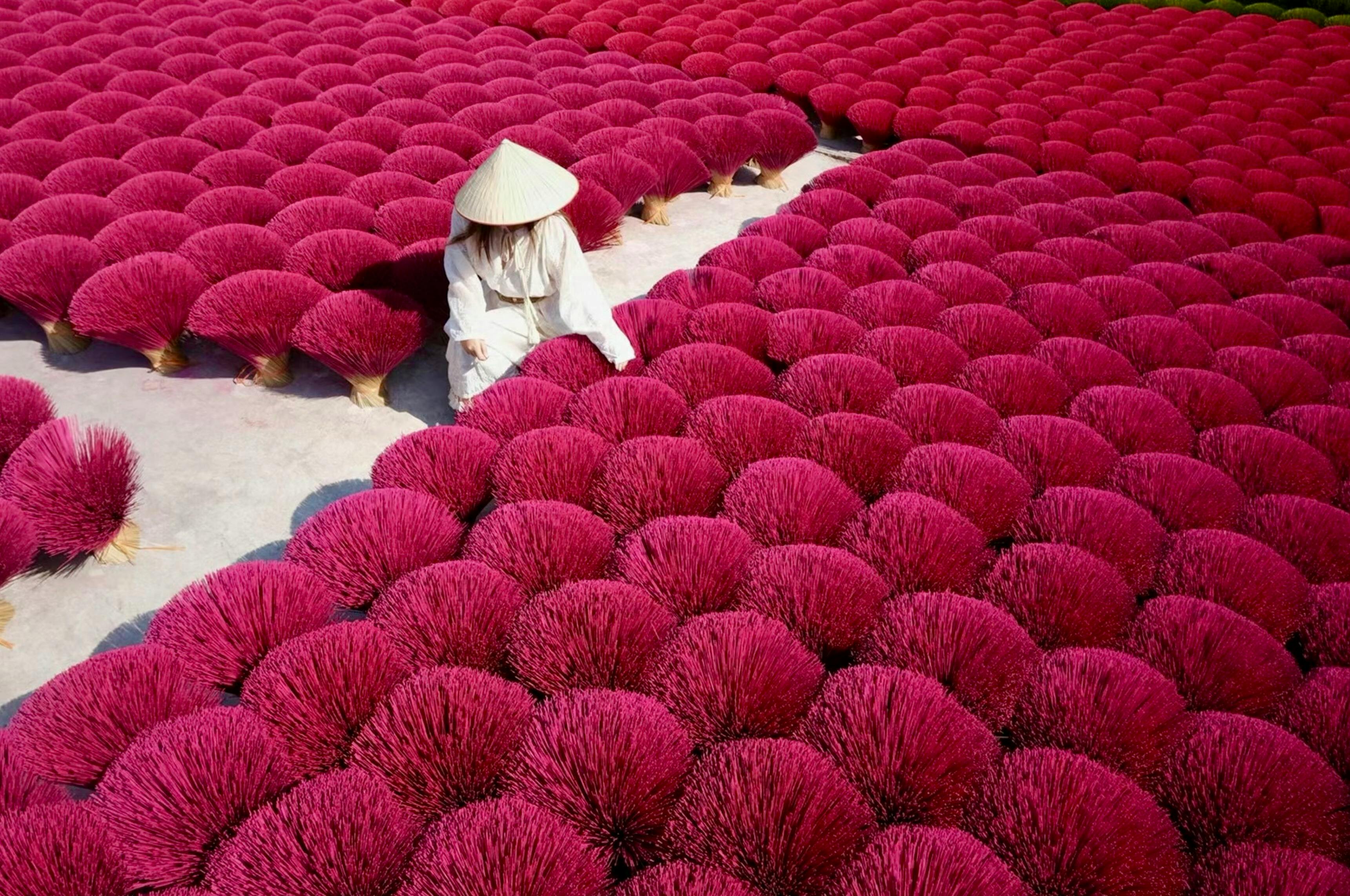 Vibrant Incense Sticks Drying in Vietnam · Free Stock Photo