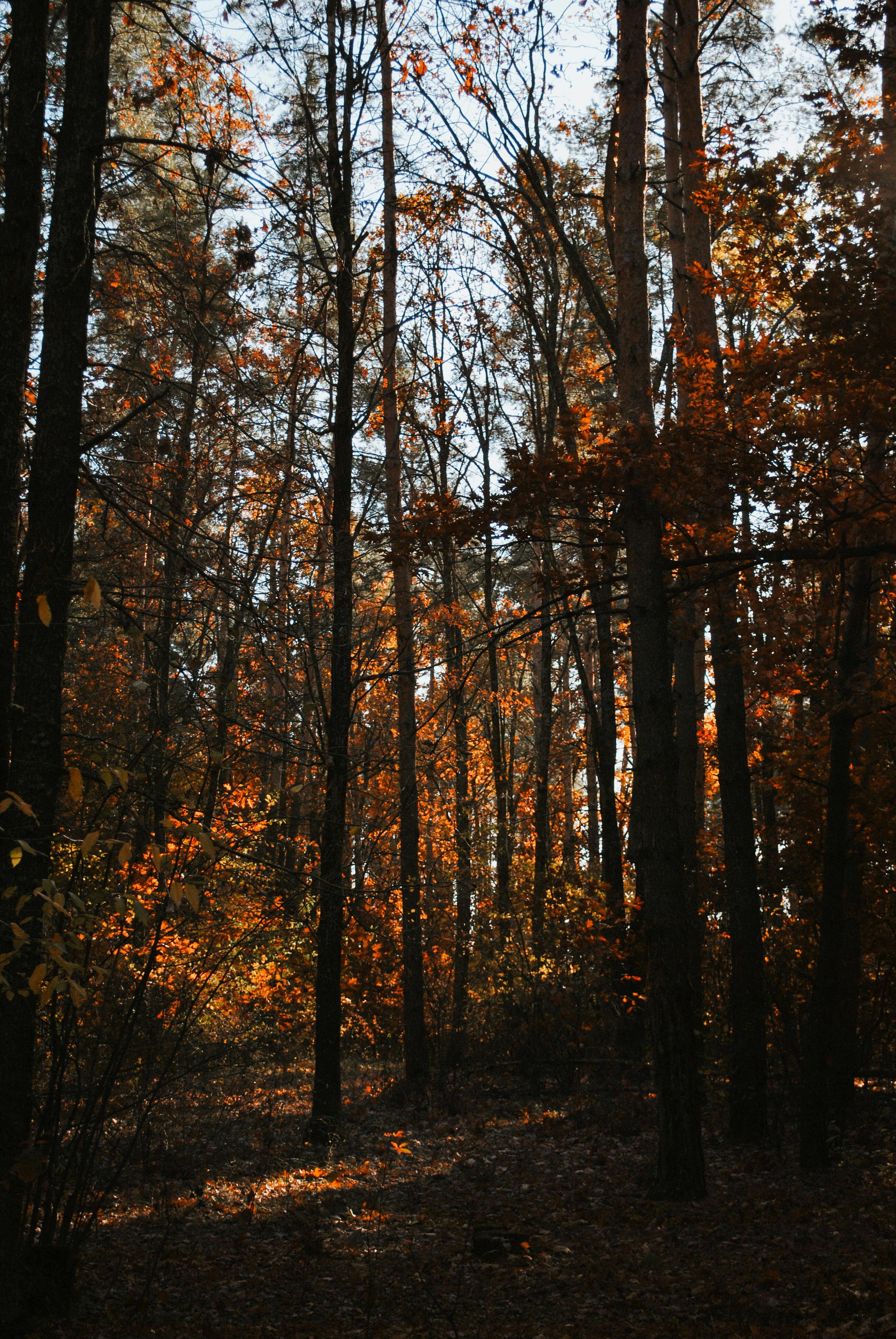 Light Background Powerpoint Photos, Download The BEST Free Light ...