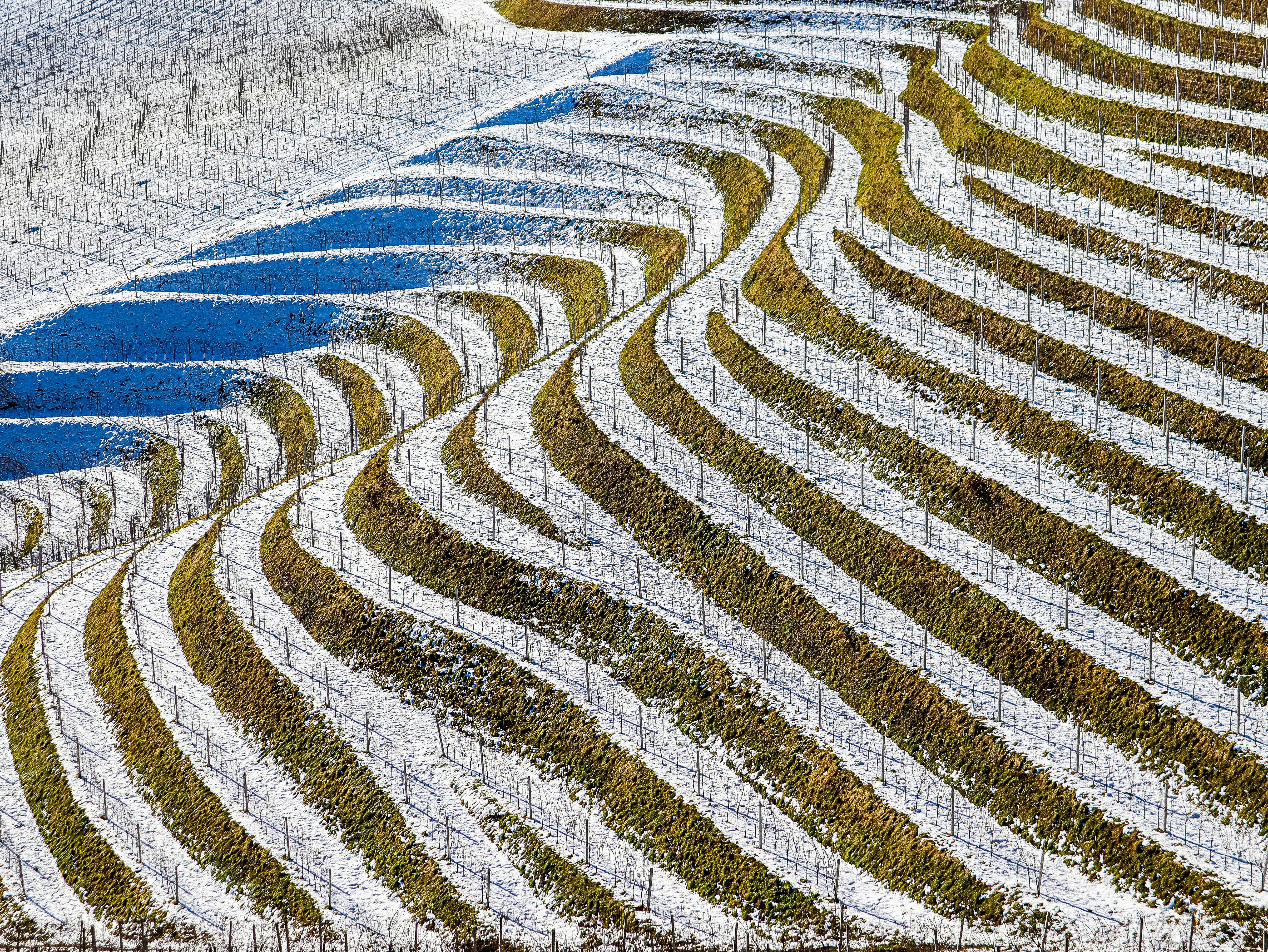 Rise Fields Photos, Download The BEST Free Rise Fields Stock Photos ...