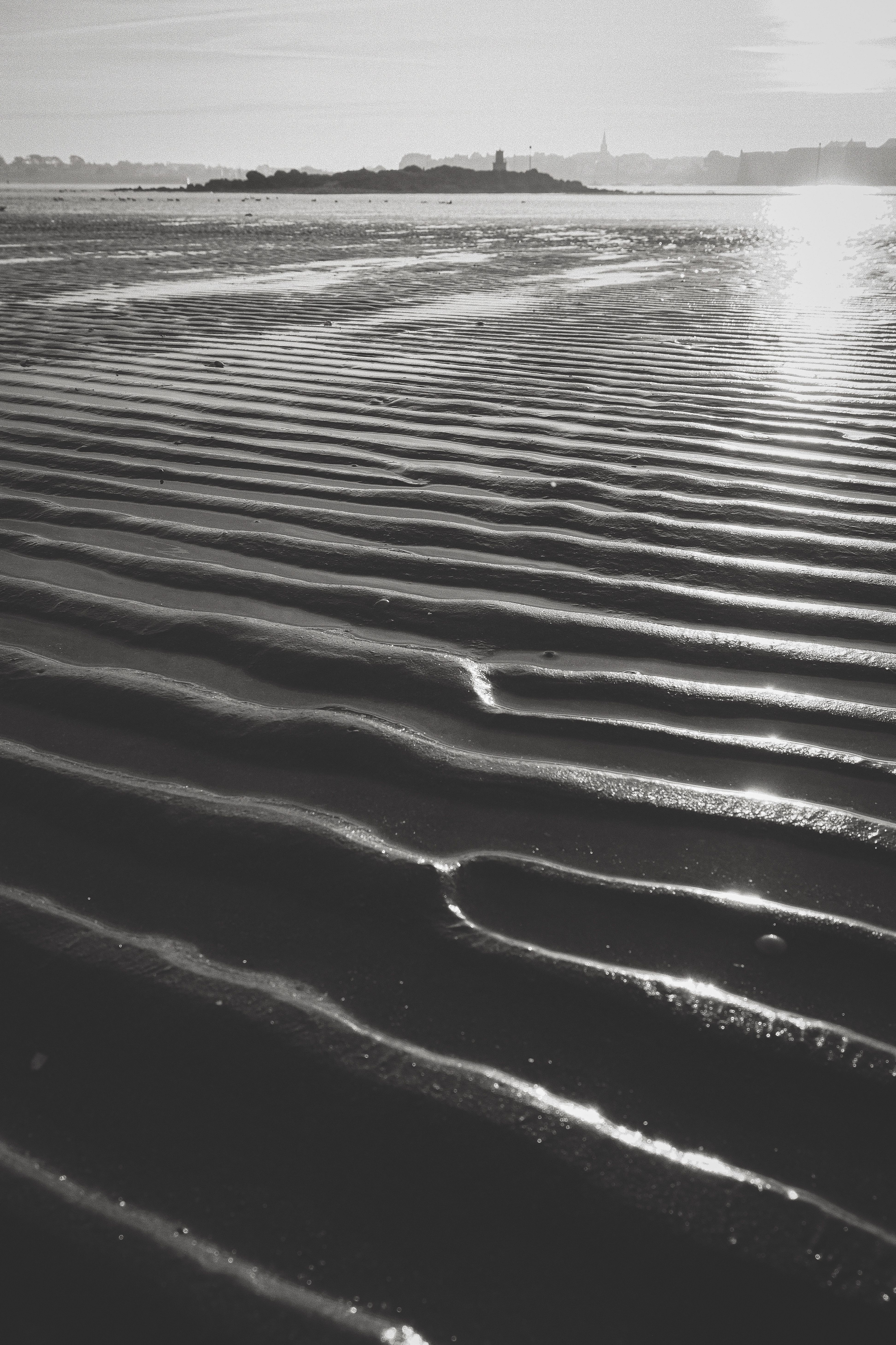 256 X 256 Photos, Download The BEST Free 256 X 256 Stock Photos & HD Images