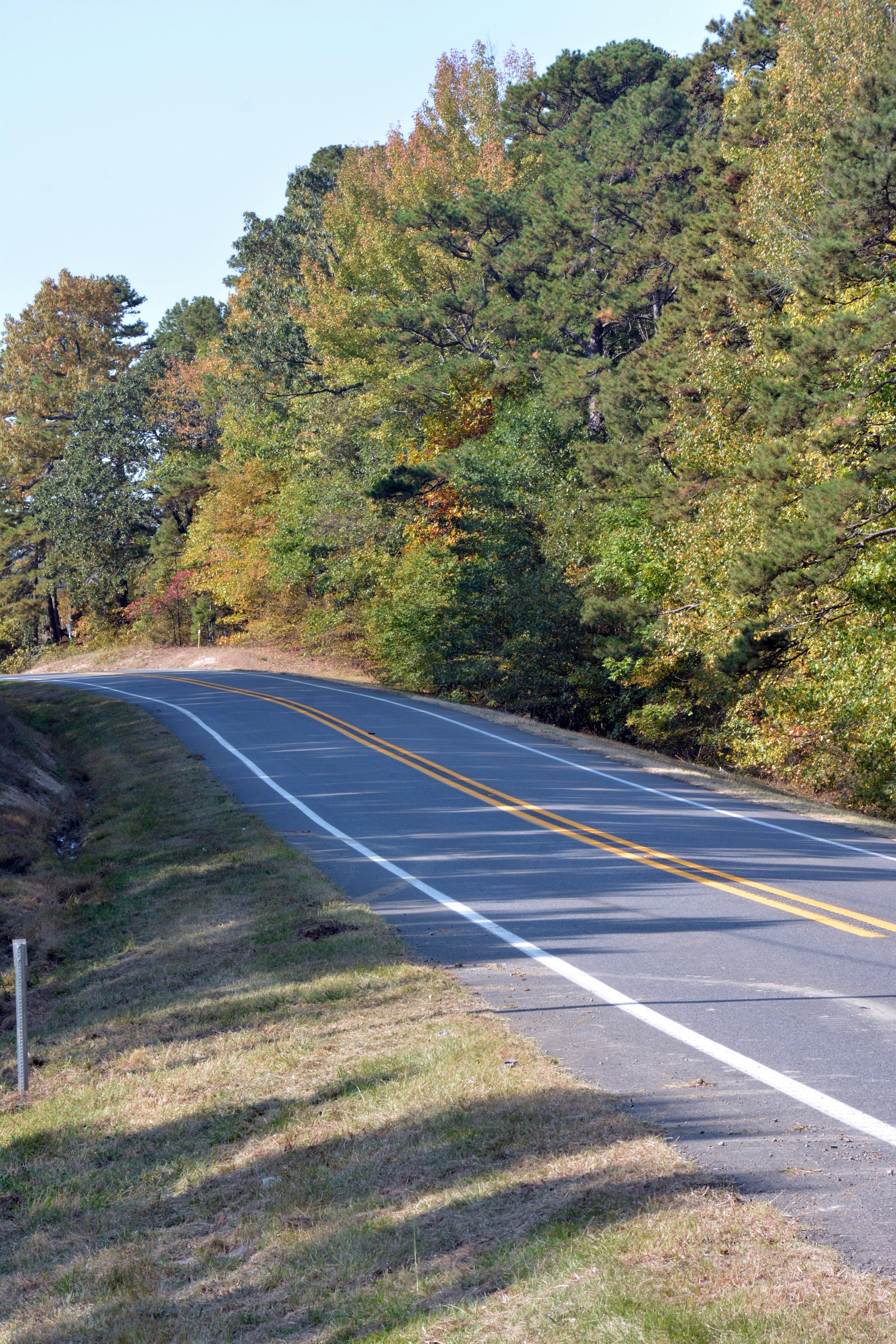 Scenic Rural Road in Mount Ida, Arkansas · Free Stock Photo