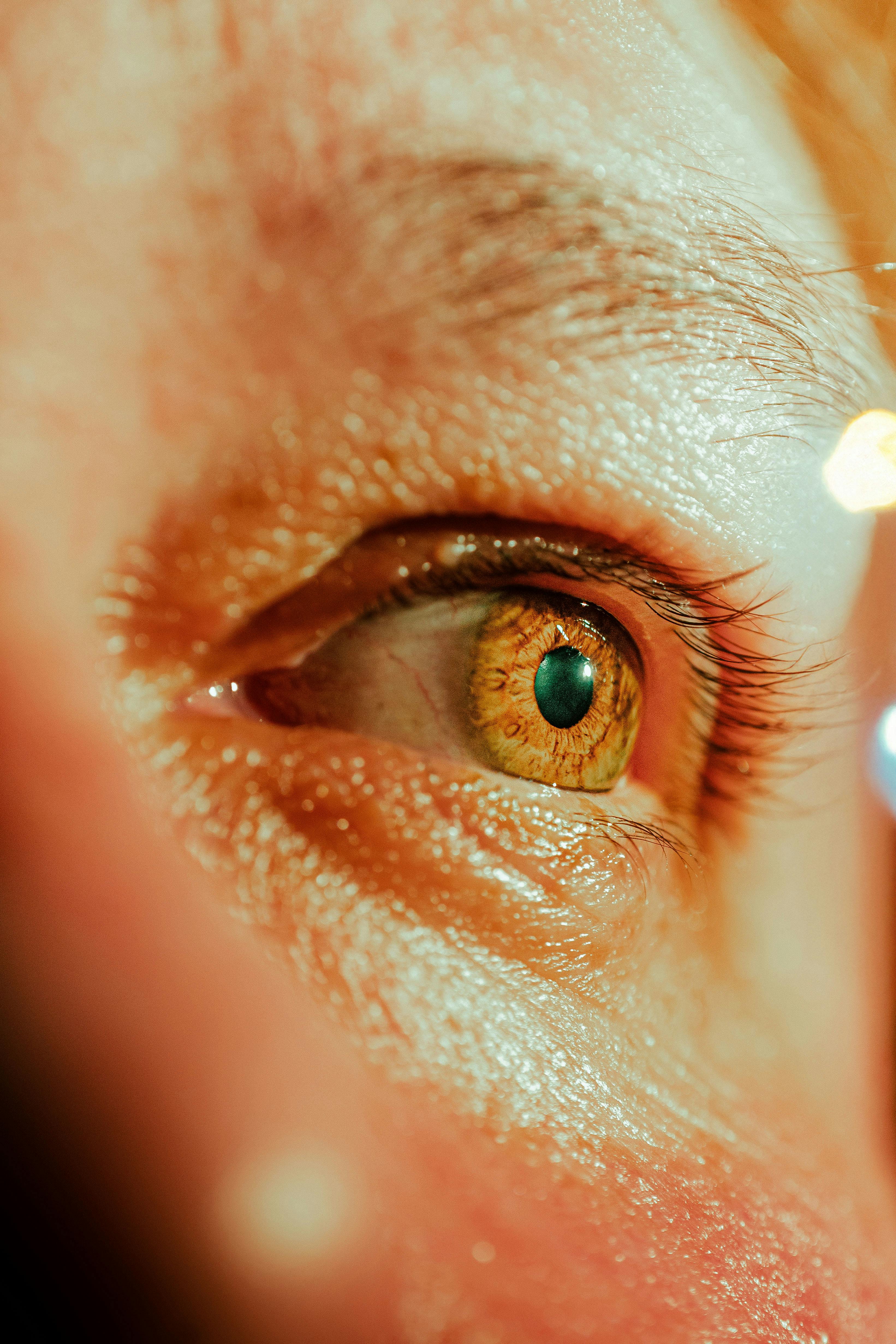 Macro Close-Up of a Human Eye with Golden Iridescence · Free Stock Photo
