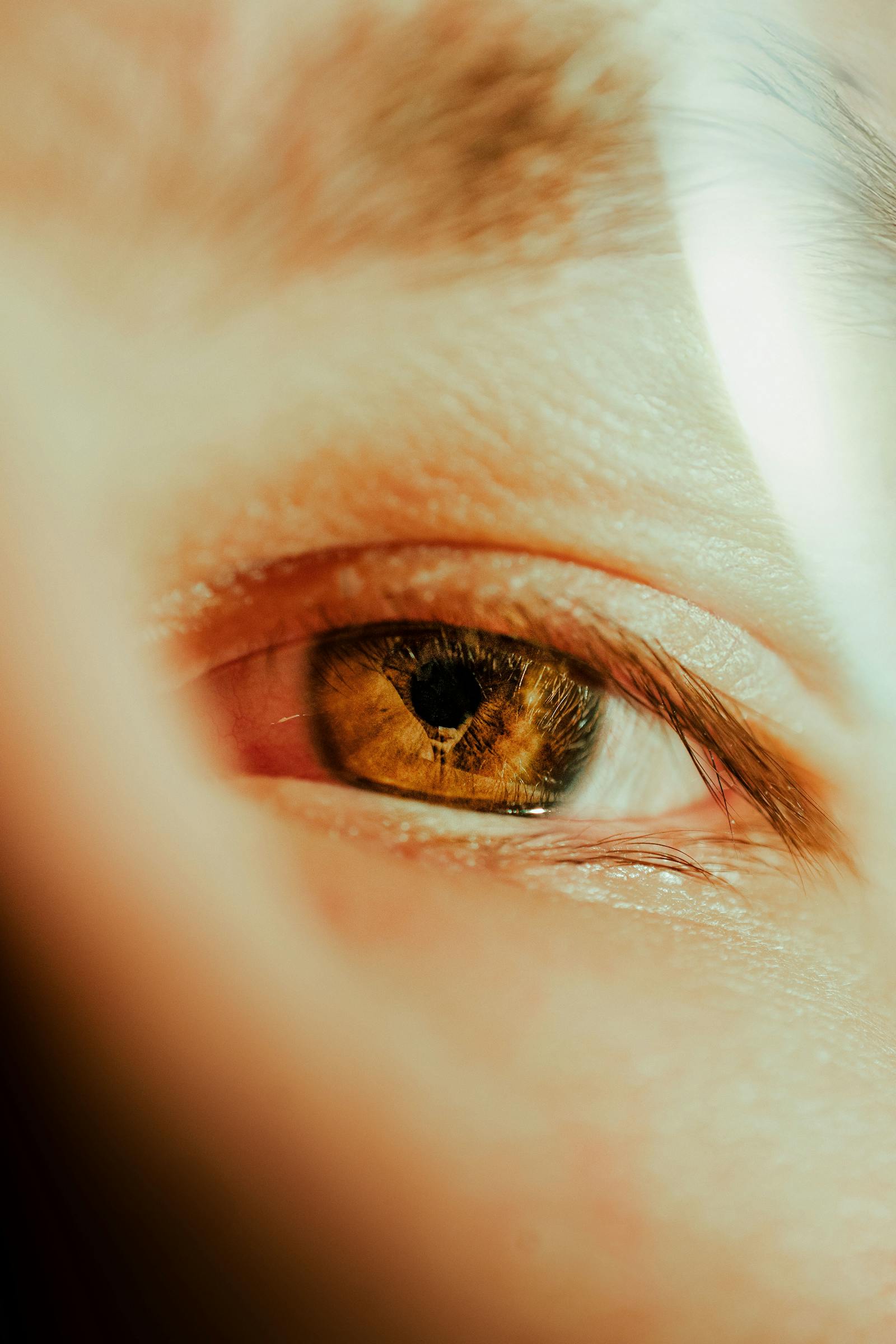 Human Being Photos, Download The BEST Free Human Being Stock Photos ...