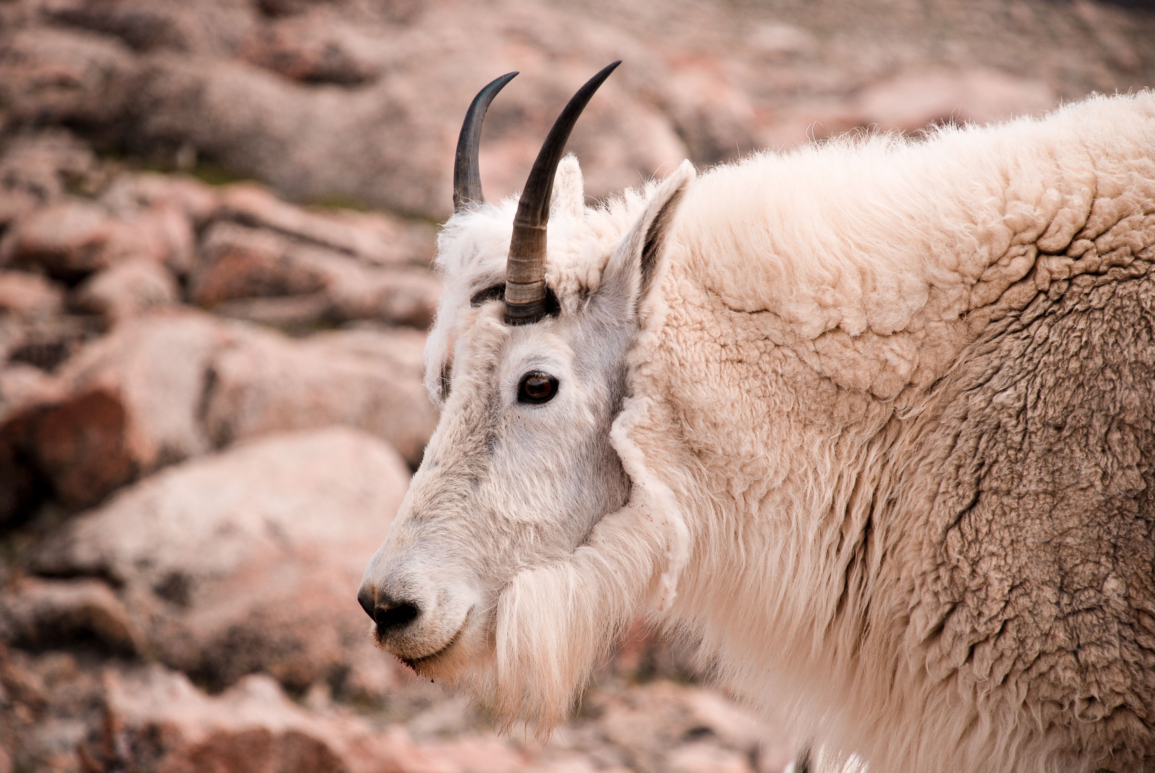 Laptop Wallpaper Boulder Colorado Photos, Download The BEST Free Laptop ...