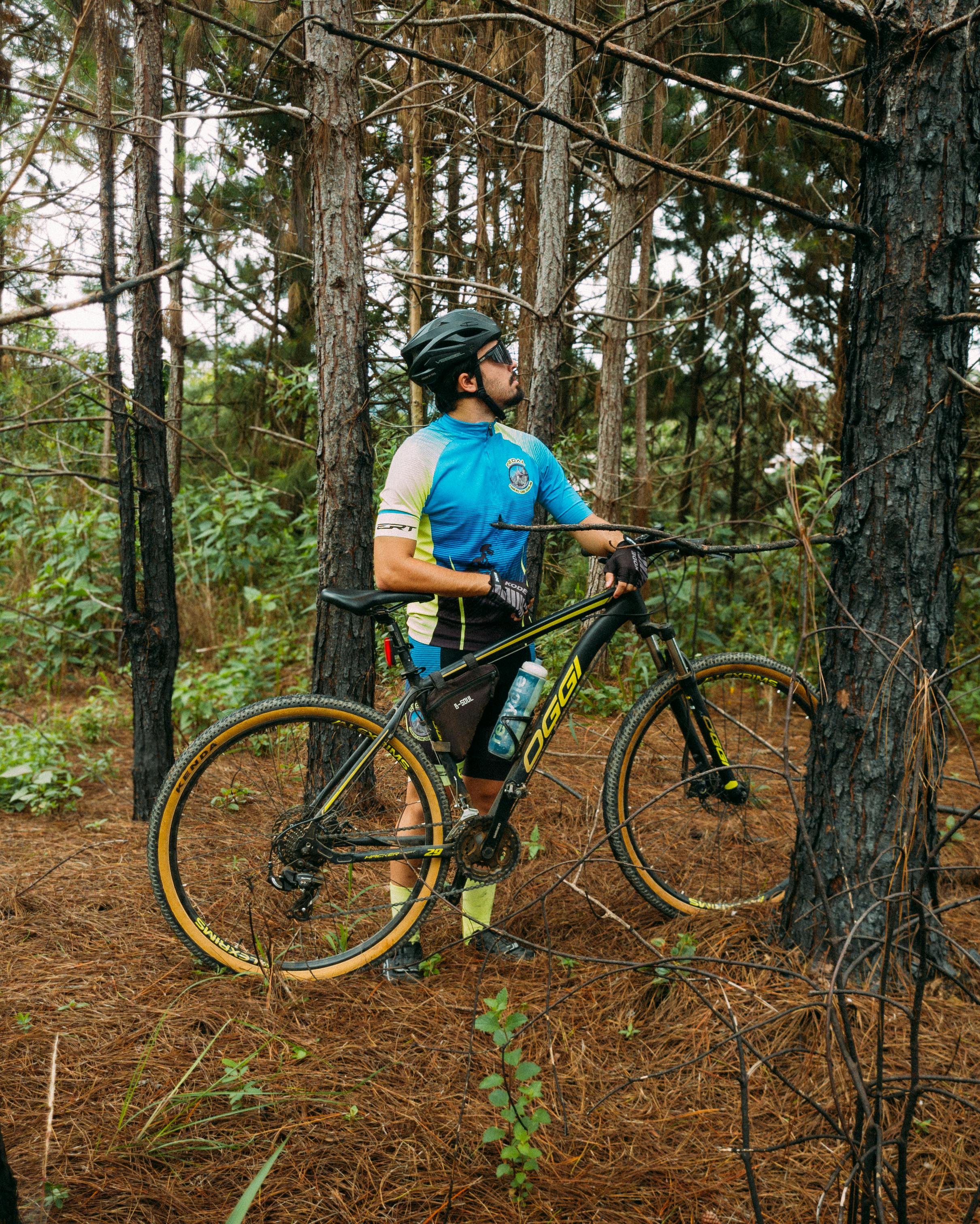 Cyclist Exploring Forest with Mountain Bike · Free Stock Photo