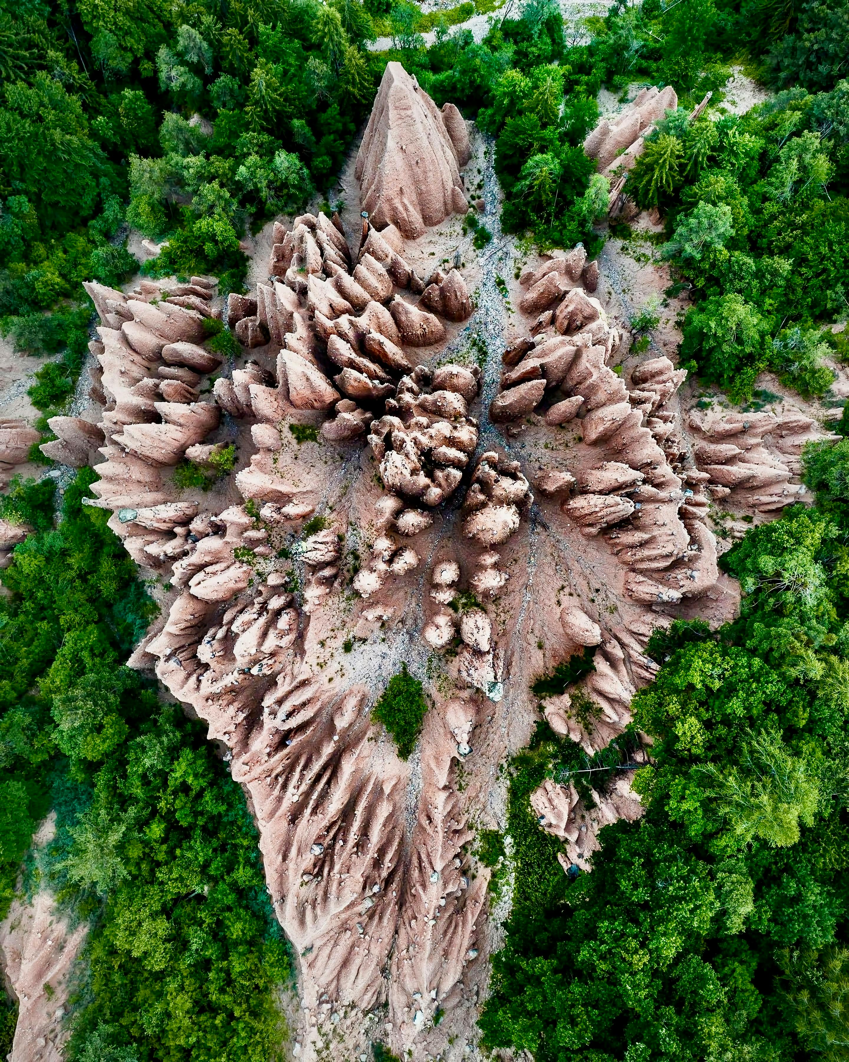 Vista Aérea De Formaciones Rocosas únicas En Un Frondoso Bosque · Foto ...