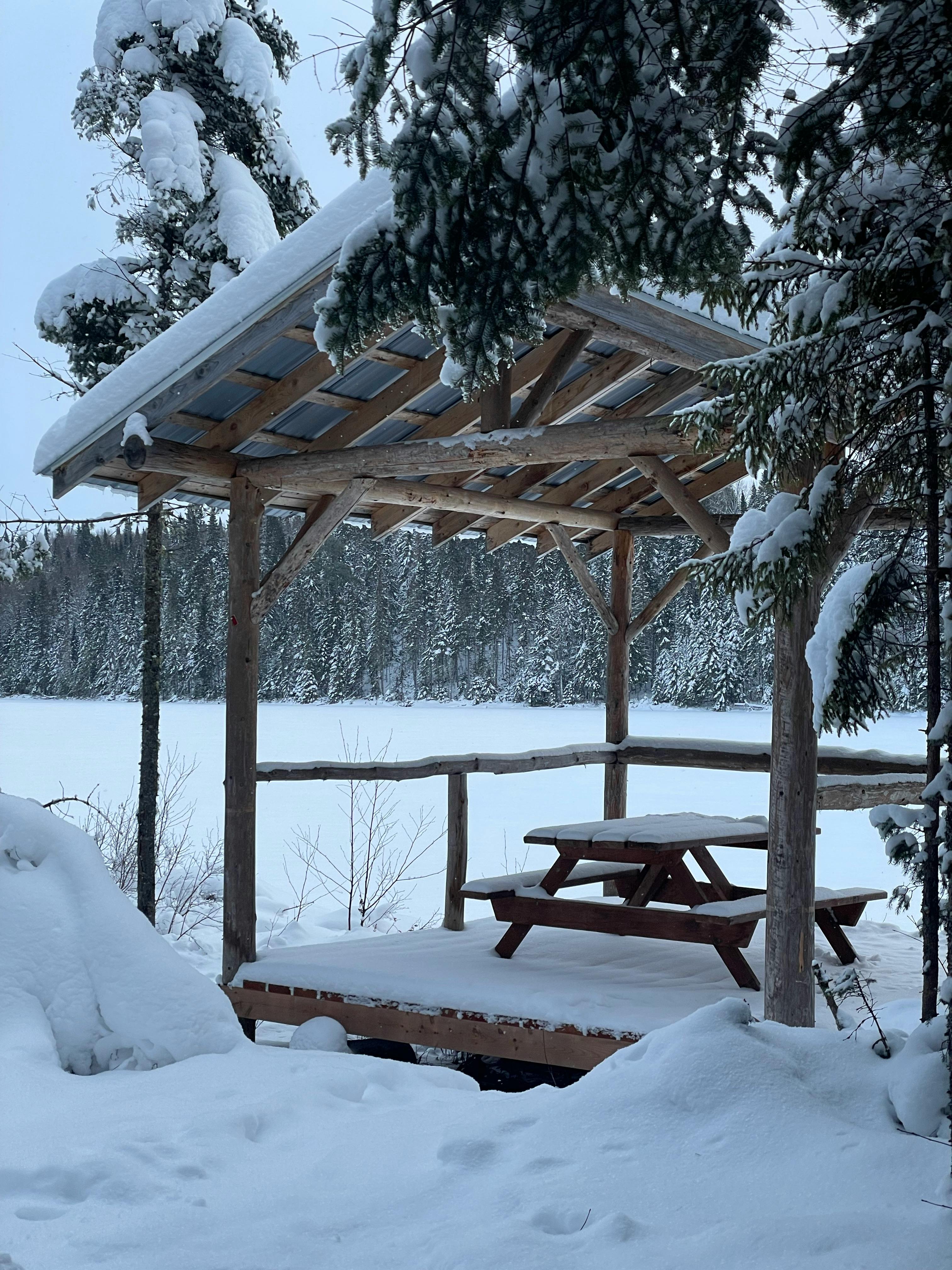 Snow-Covered Forest Picnic Spot in Quebec · Free Stock Photo