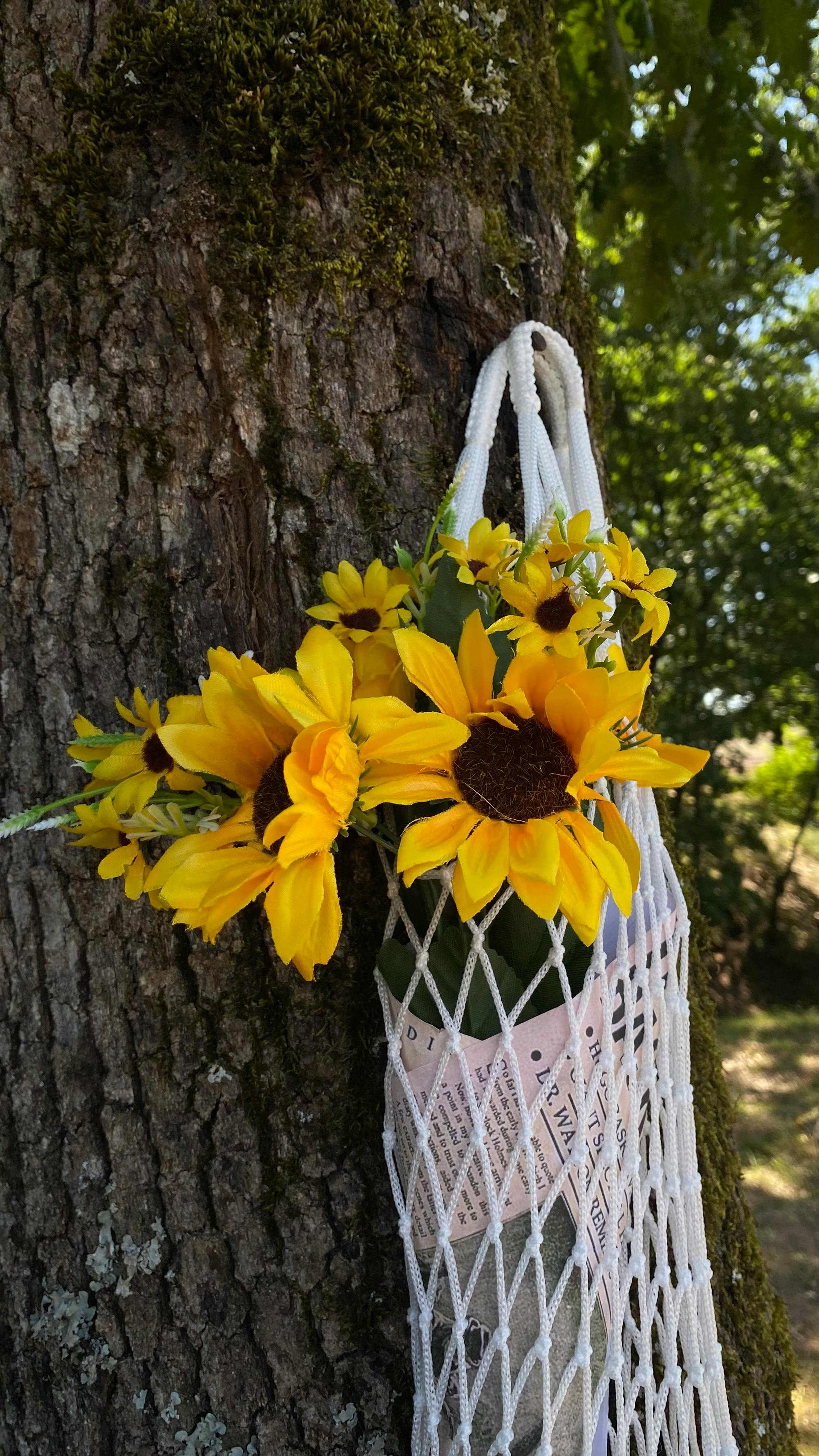 Vibrant Sunflowers Hanging Against Tree Outdoors · Free Stock Photo
