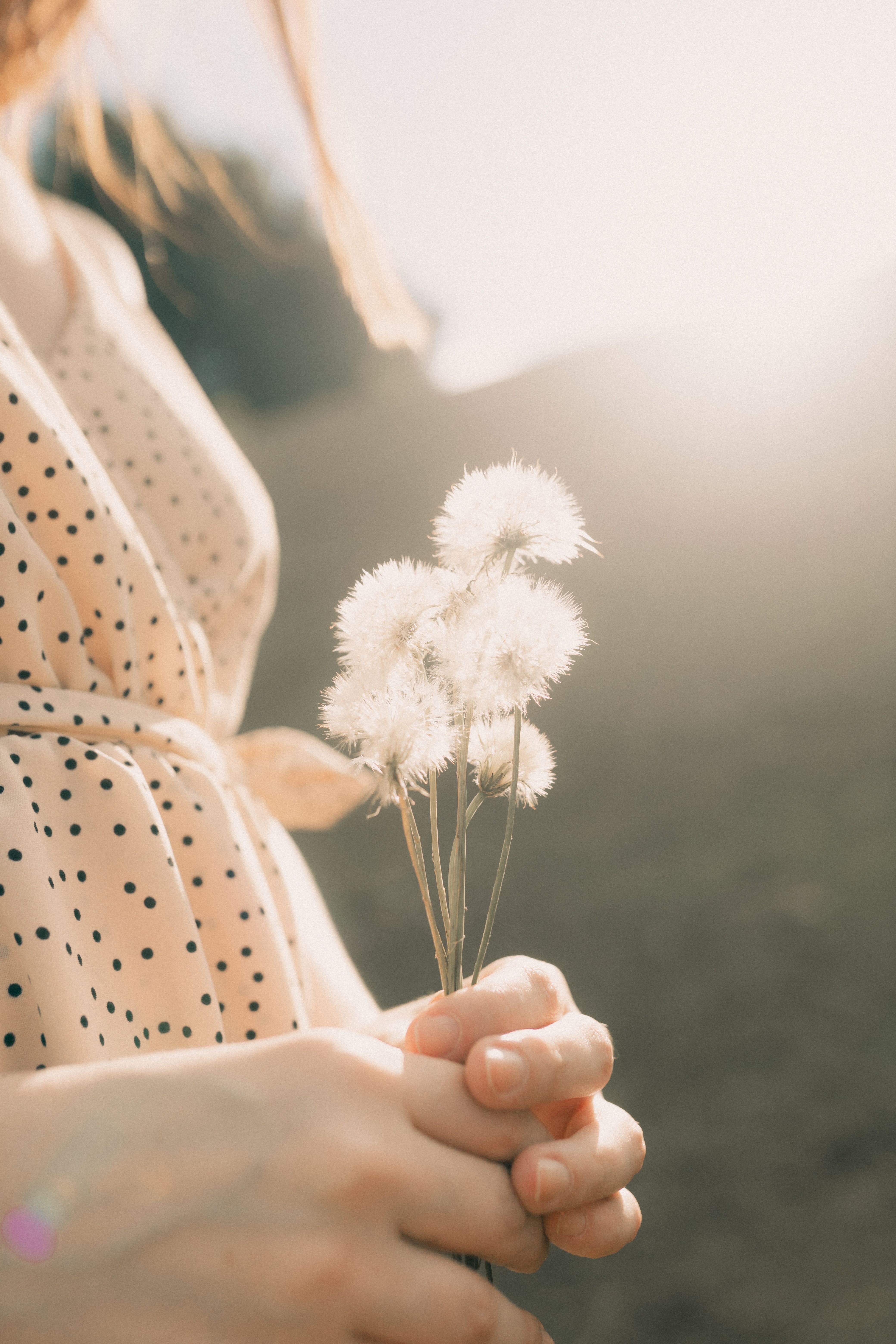 Wish Was True Photos, Download The BEST Free Wish Was True Stock Photos ...