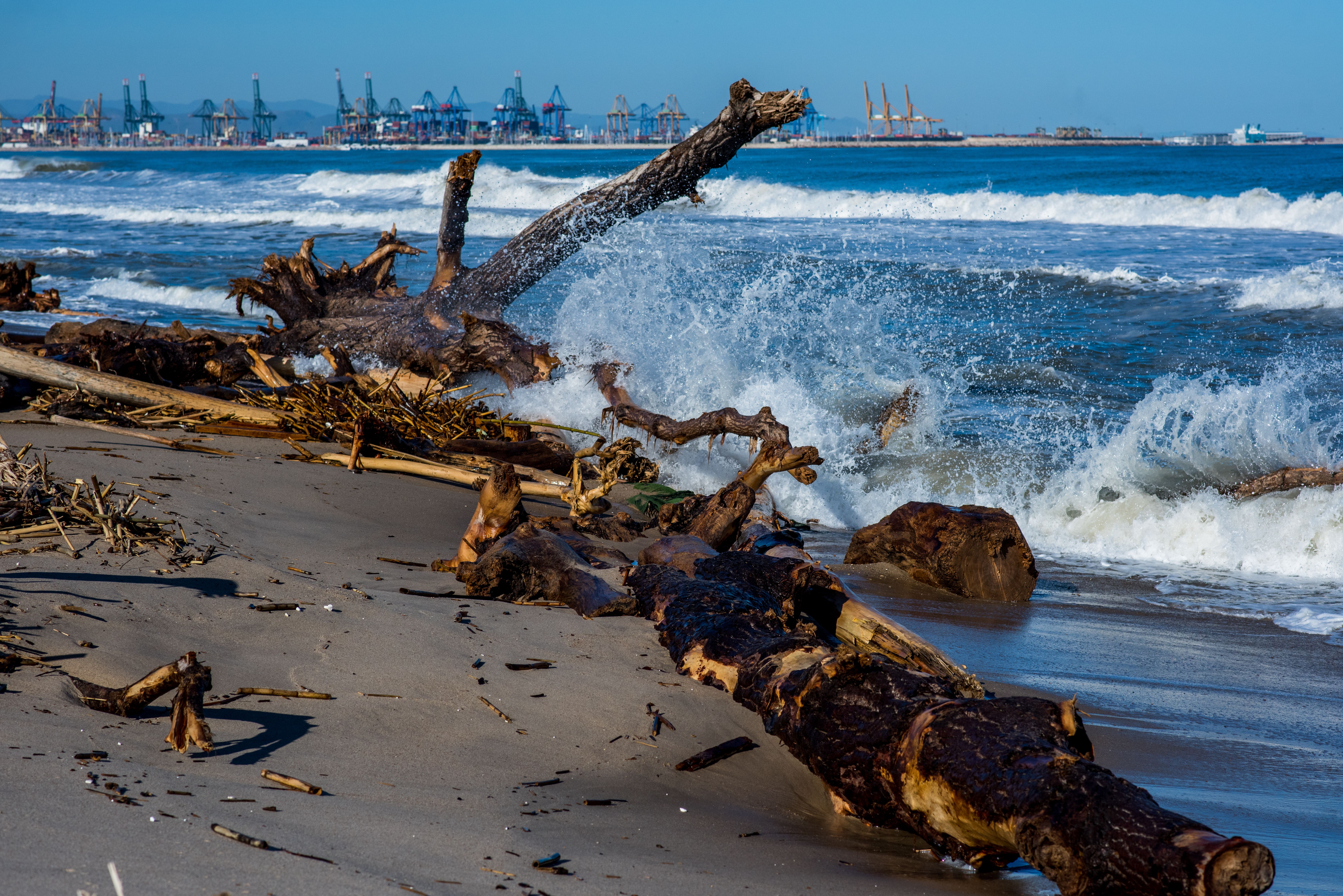 Dramatic Waves Crashing on Log-Strewn Beach · Free Stock Photo