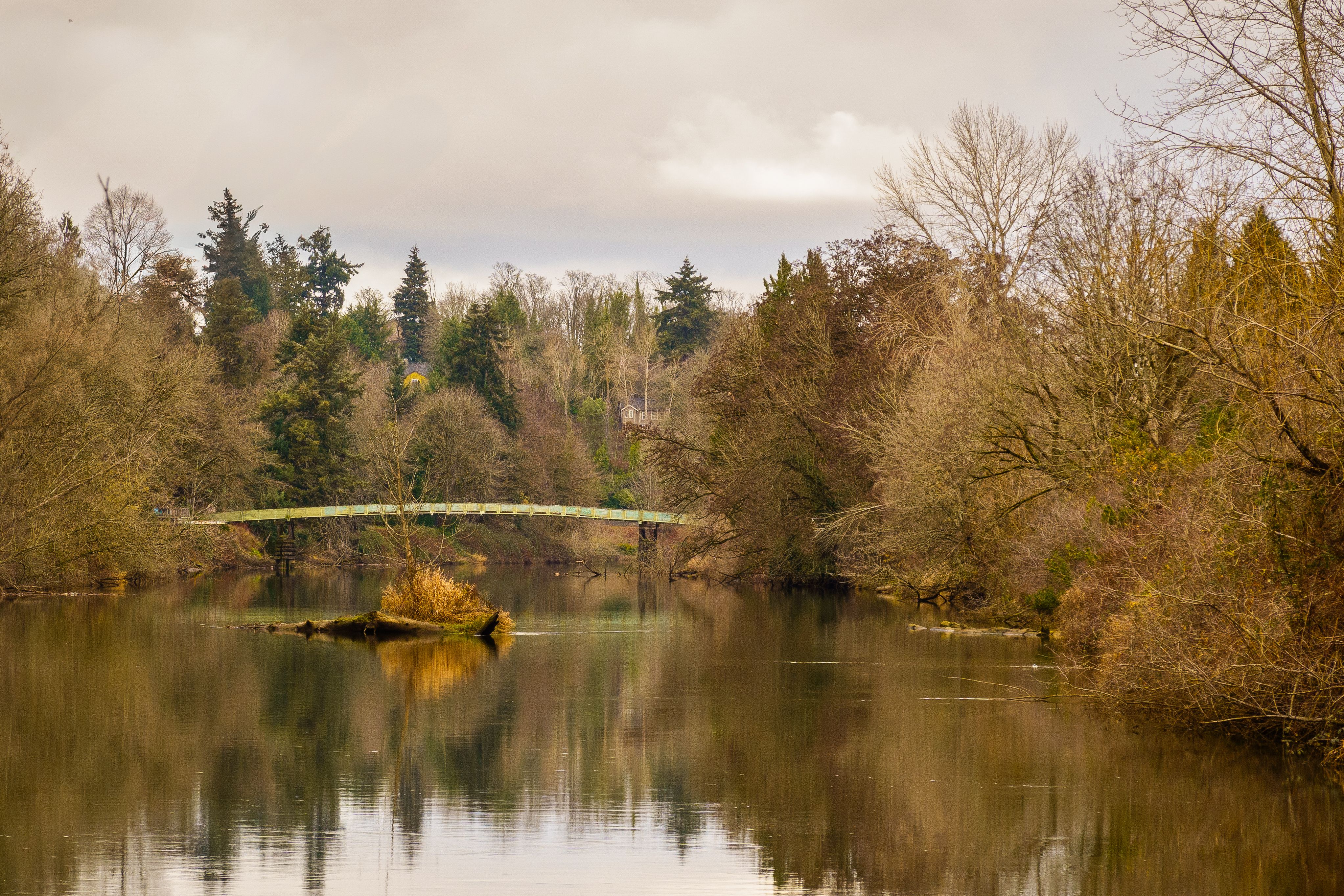 Scenic River View with Bridge and Reflections · Free Stock Photo