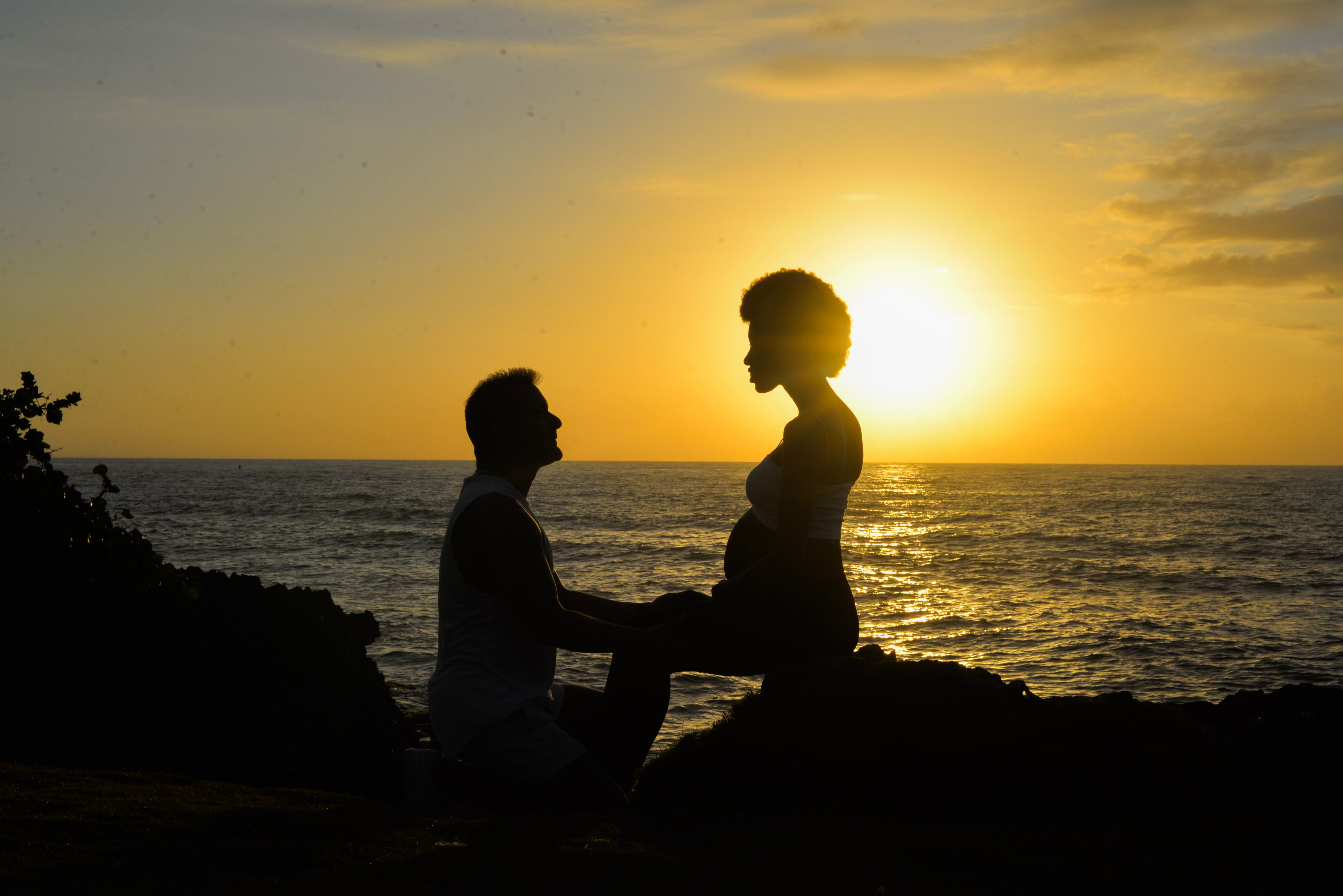 Nature Sun And Life Photos, Download The BEST Free Nature Sun And Life ...