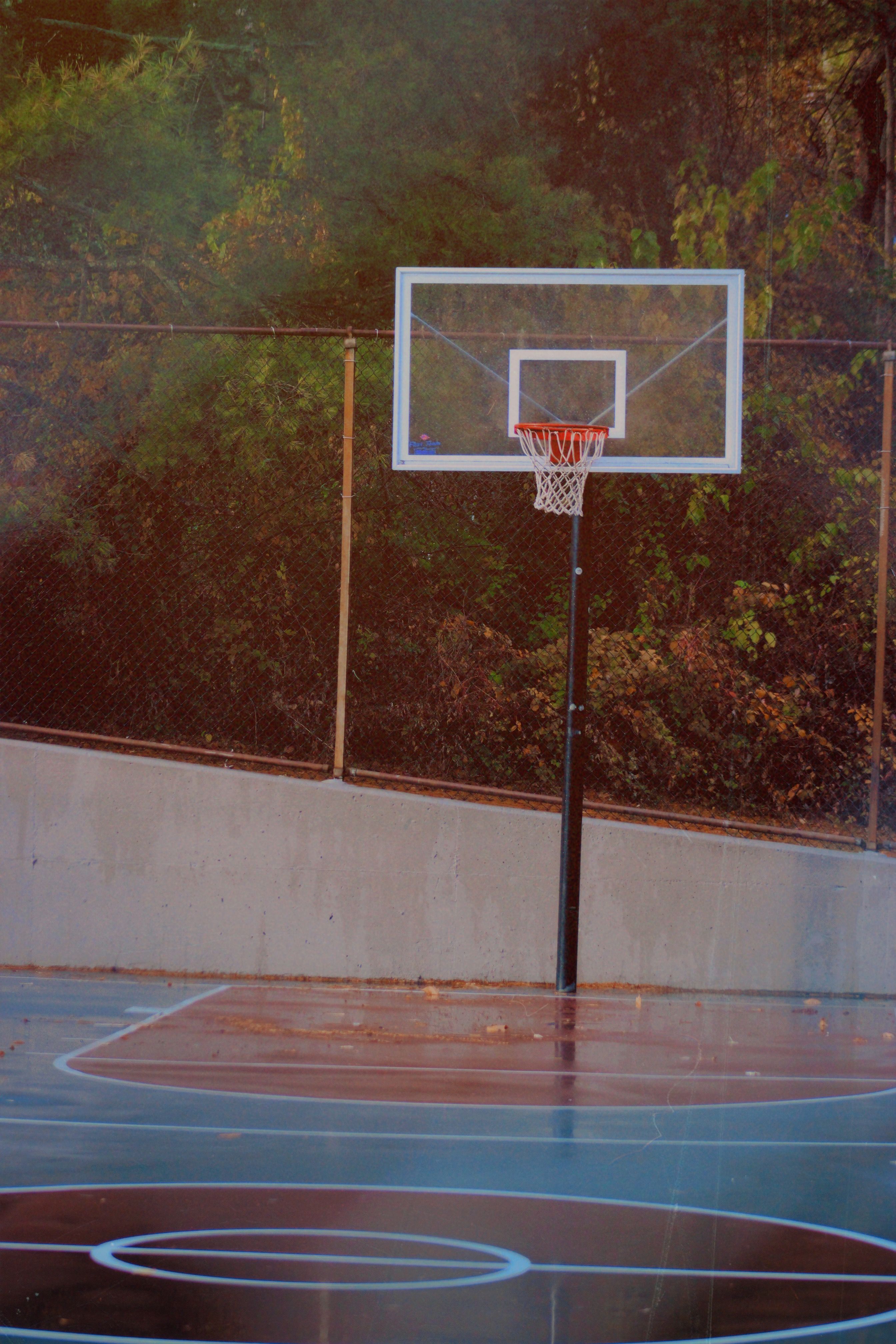 Basketball Fail Photos, Download The BEST Free Basketball Fail Stock ...