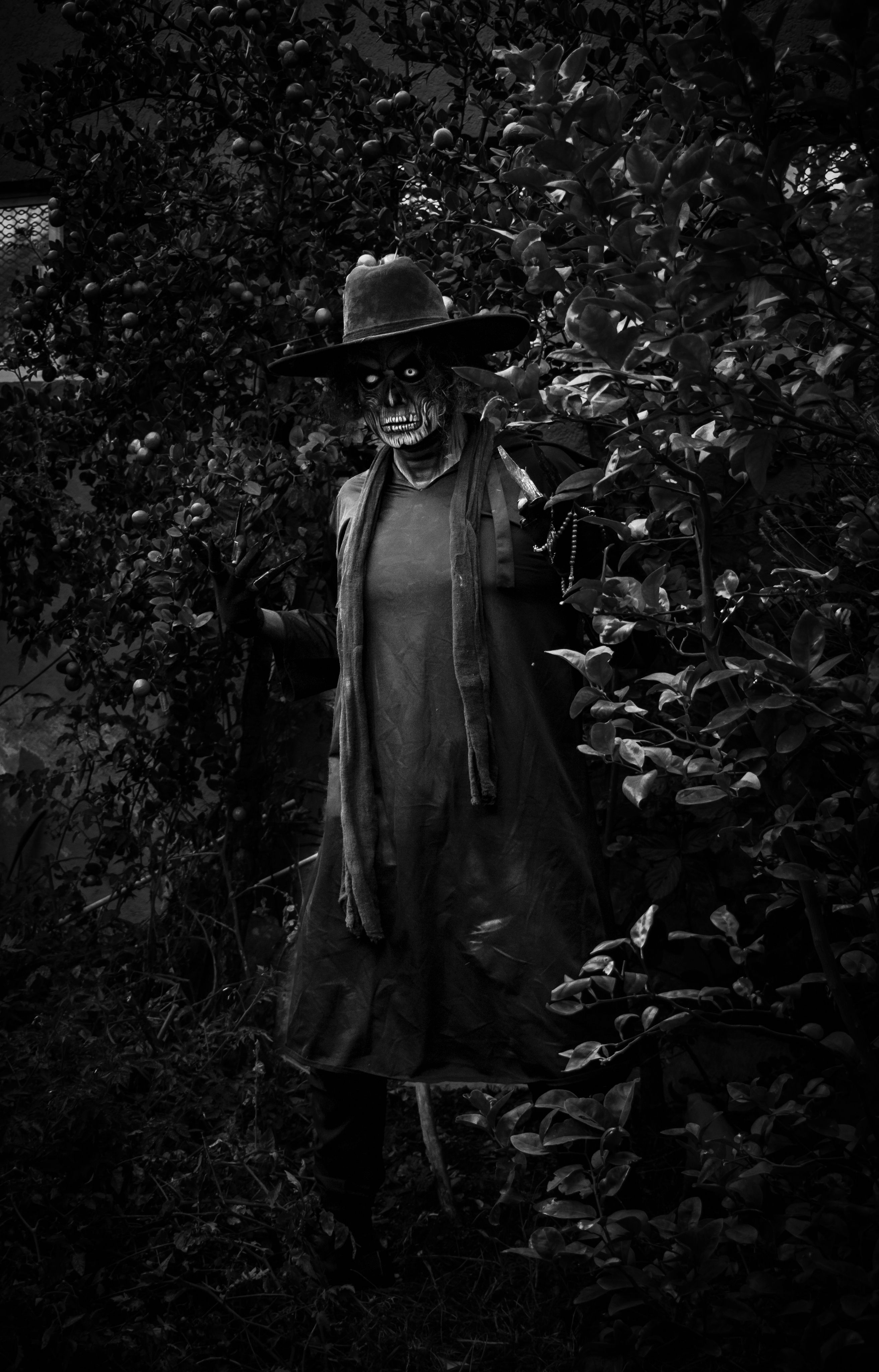 Scary Photoss Photos, Download The BEST Free Scary Photoss Stock Photos ...