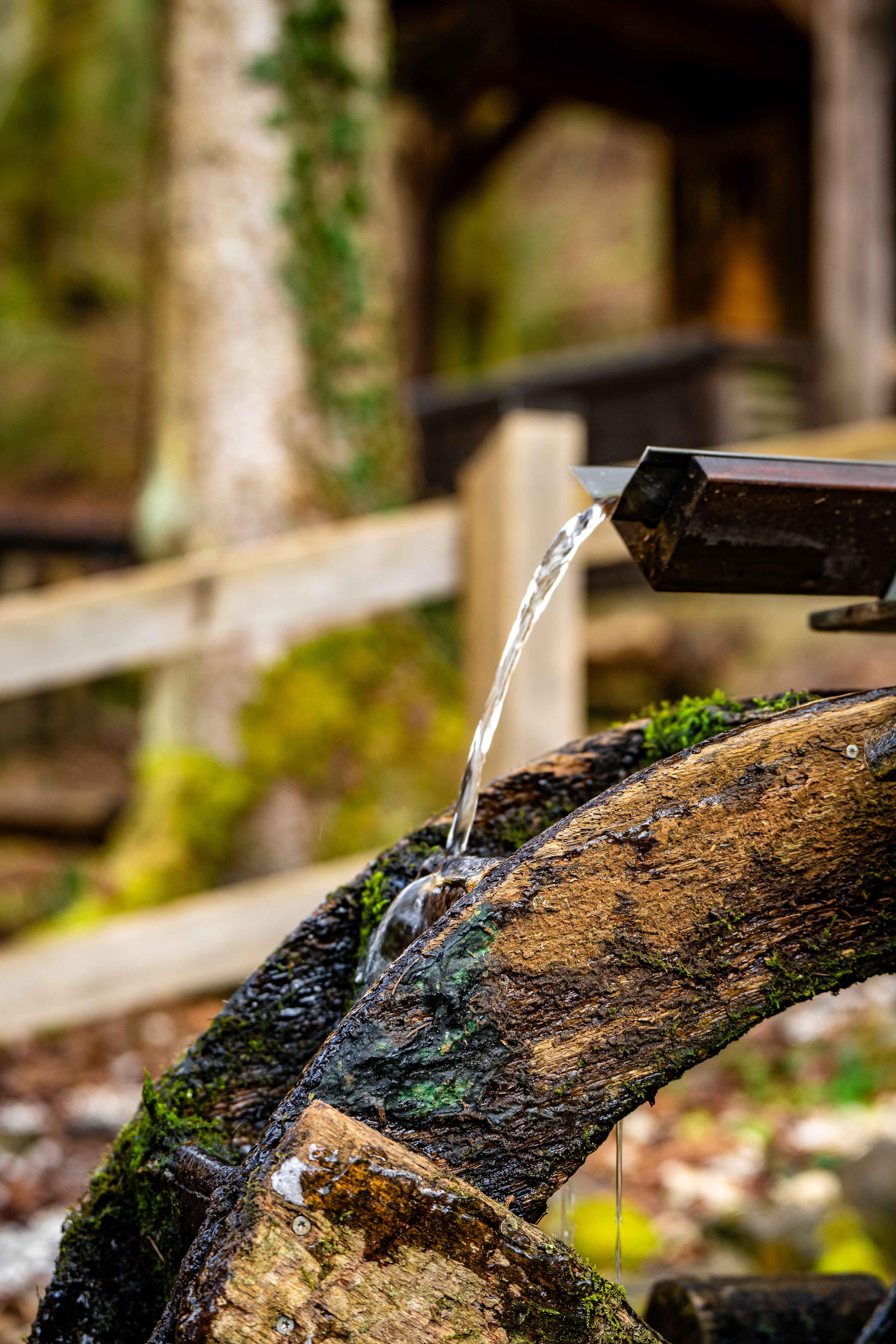 Close-up of Rustic Waterwheel in Nature · Free Stock Photo