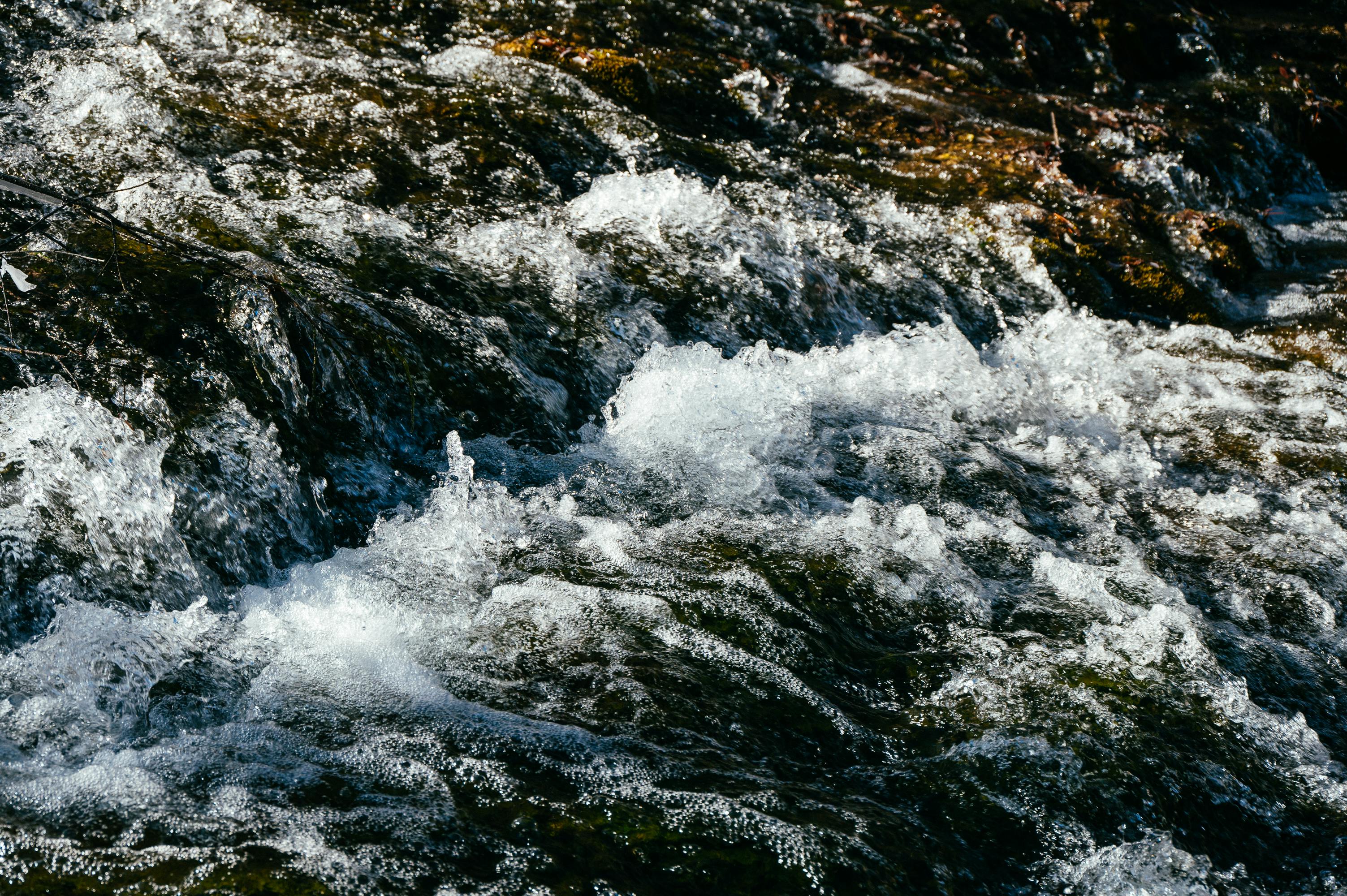 Dynamic stream with clear rushing water · Free Stock Photo
