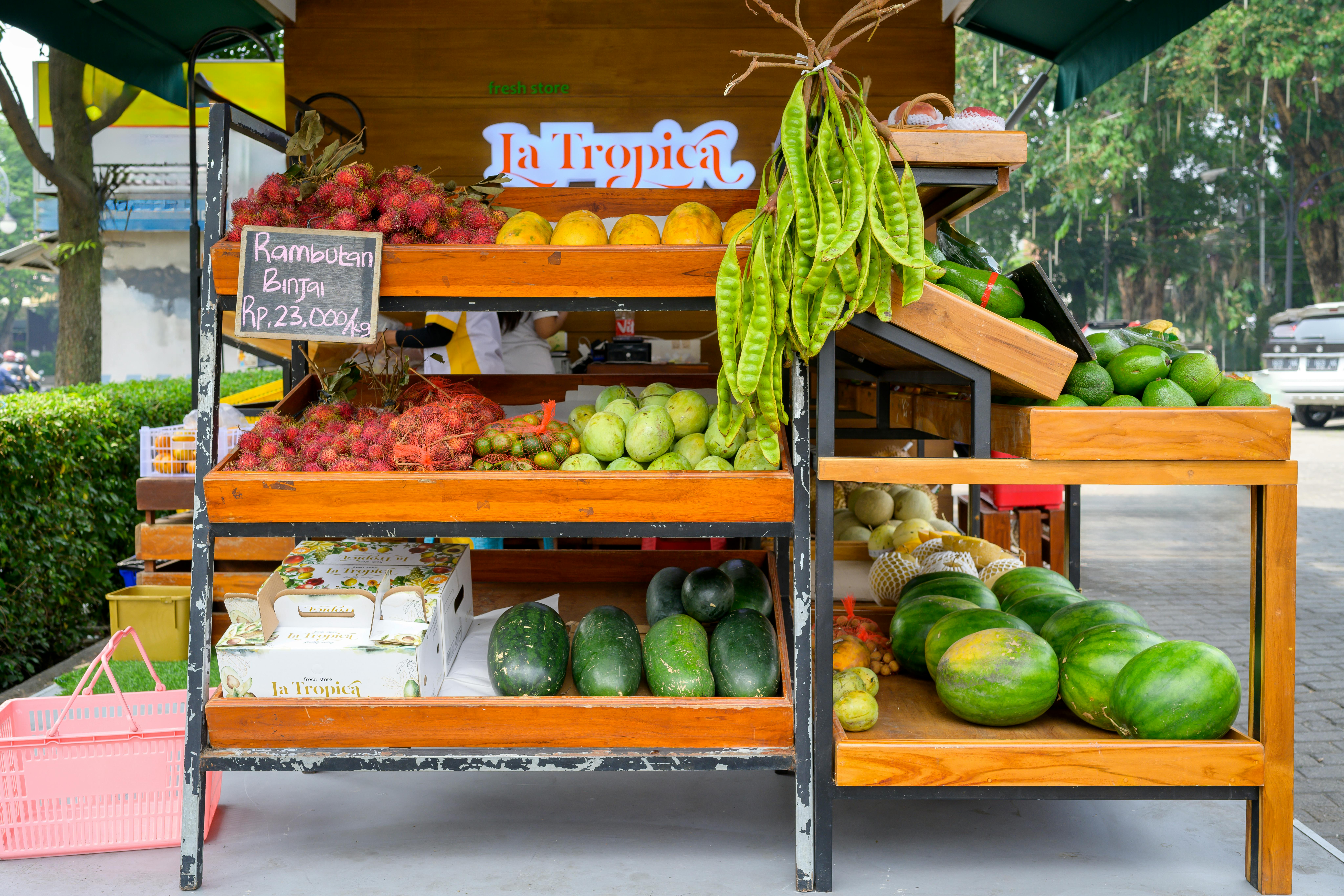 Propagar Rambutanes Photos, Download The BEST Free Propagar Rambutanes ...